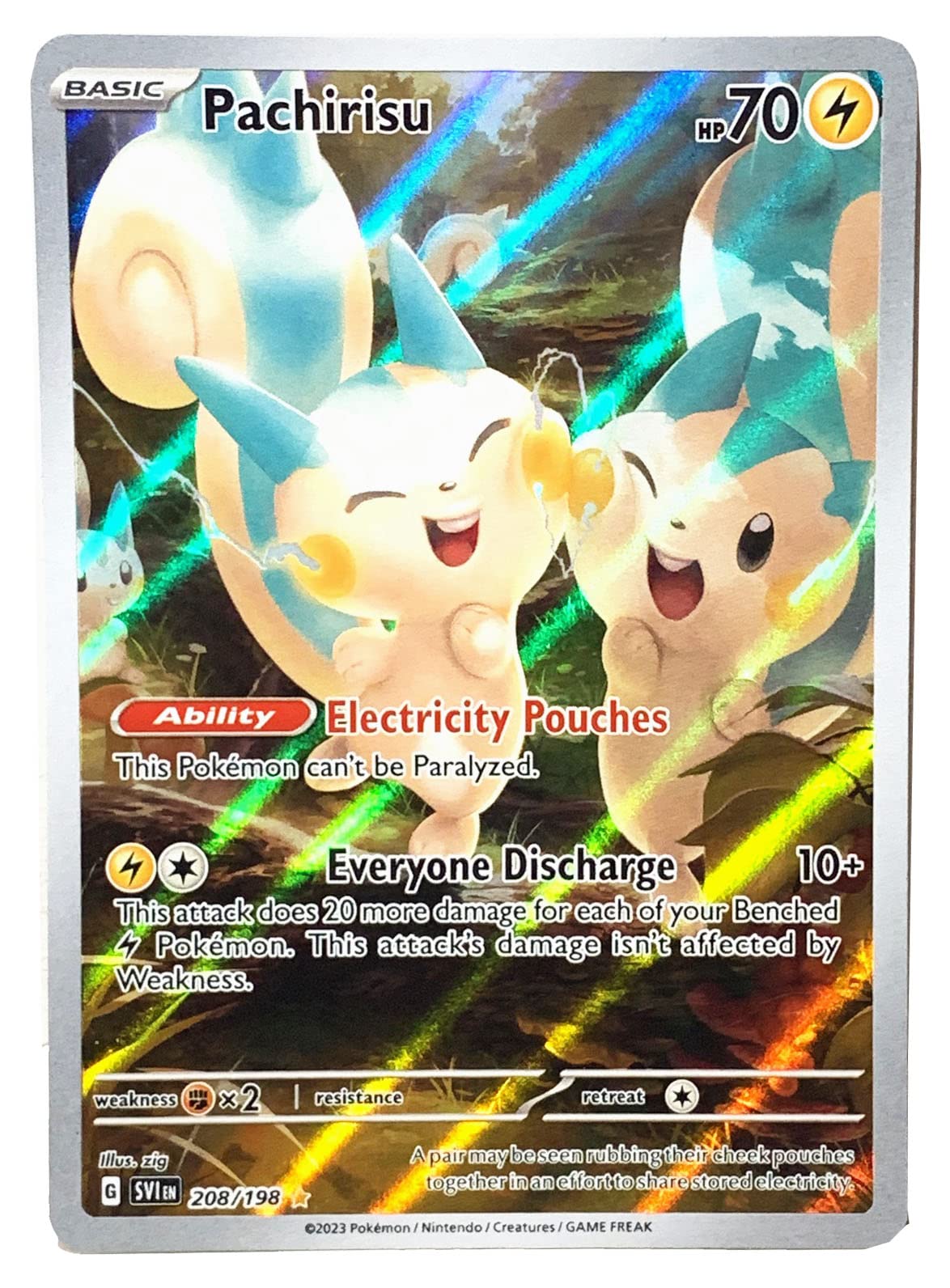 Pokemon Pachirisu Card