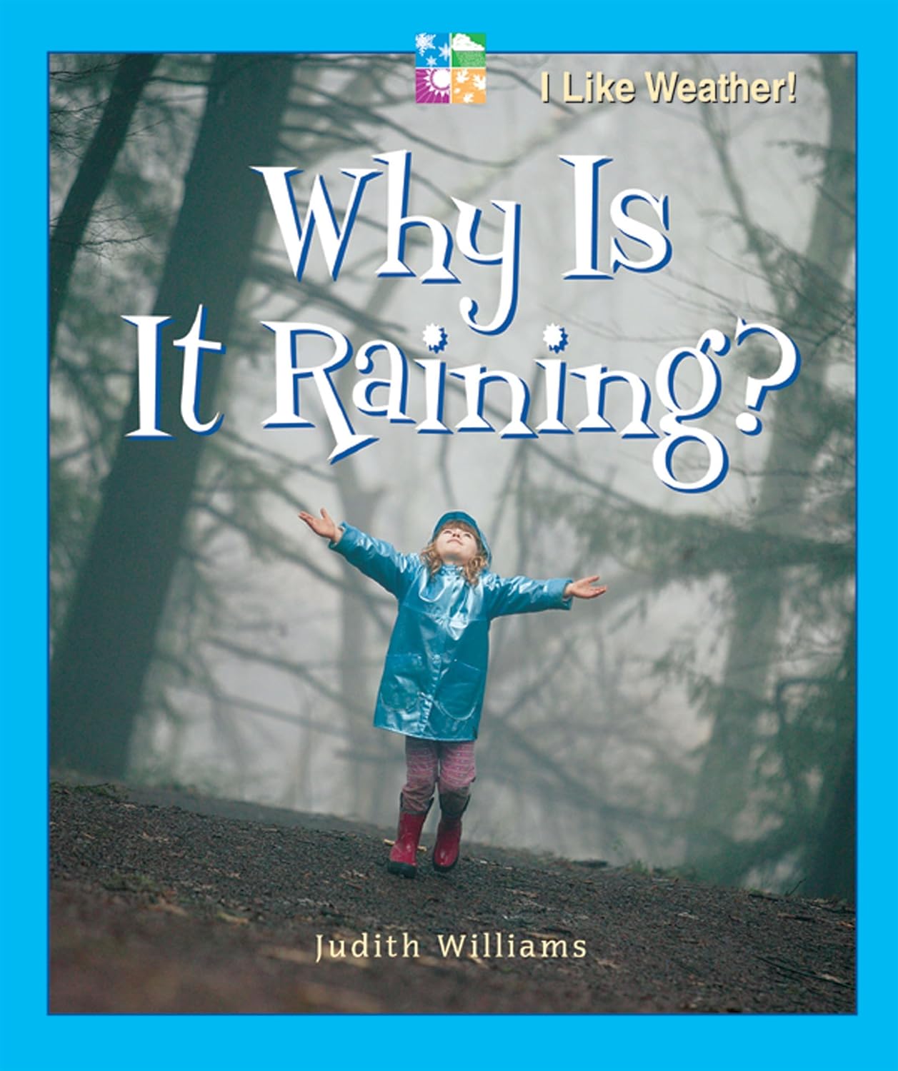 Why Is It Raining? (I Like Weather!): Williams, Judith: 9780766023185 ...