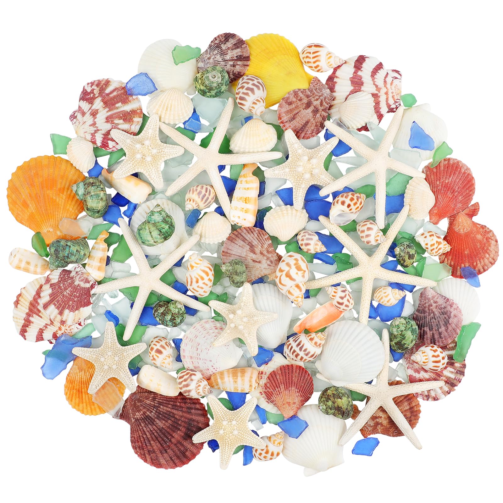 Fangoo Natural Starfish Beach Seashells Mix 200g Sea Glass Shells for ...