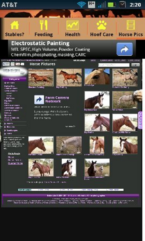 My First Horse!!! - App on Amazon Appstore