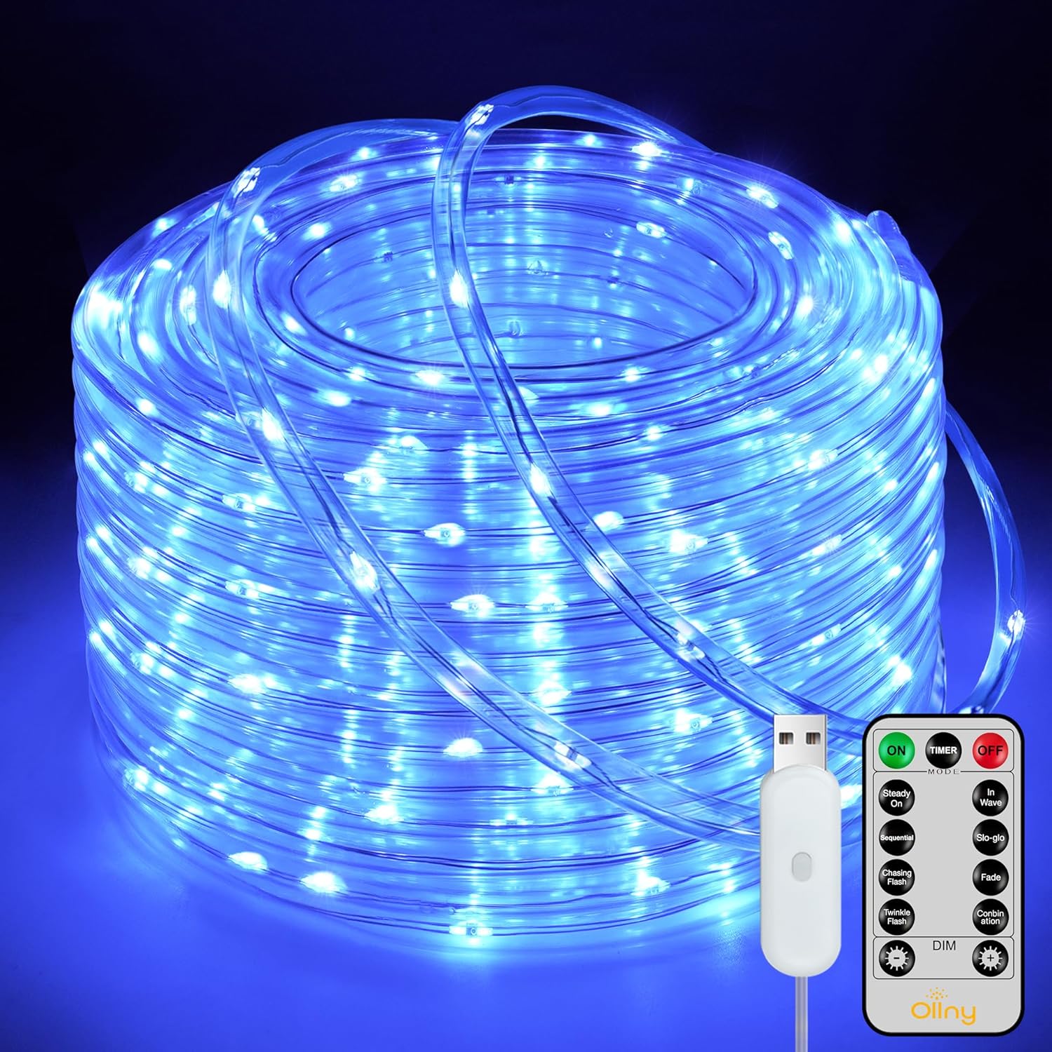 Amazon.com: Ollny Rope Lights 33FT 100 LED, USB Multicolor String ...