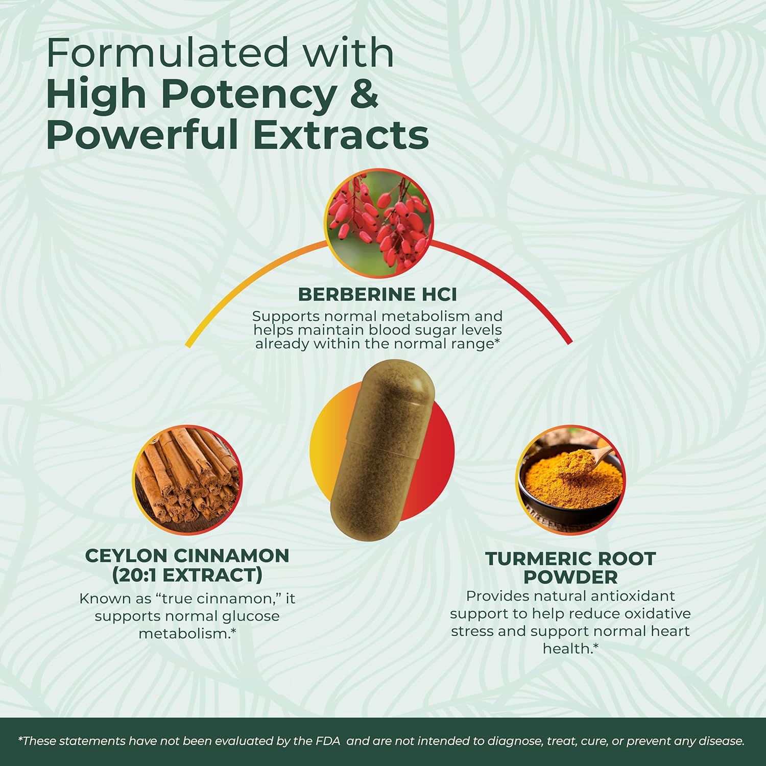 PurePremium Berberine with Ceylon Cinnamon Complex - 1500mg Berberine ...