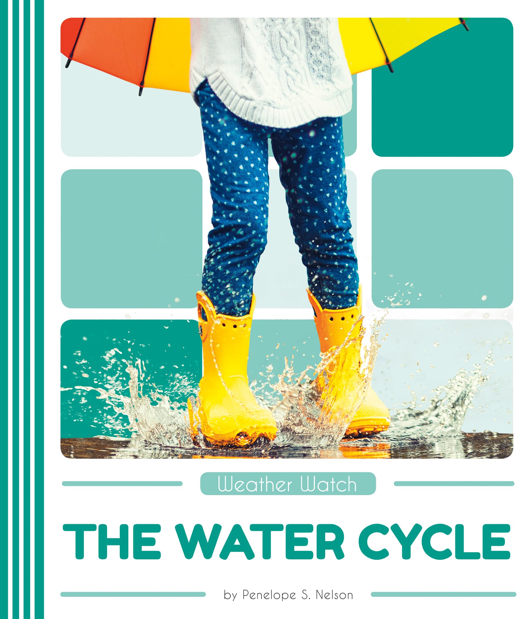 The Water Cycle: Nelson, Penelope S: 9781635178432: Amazon.com: Books