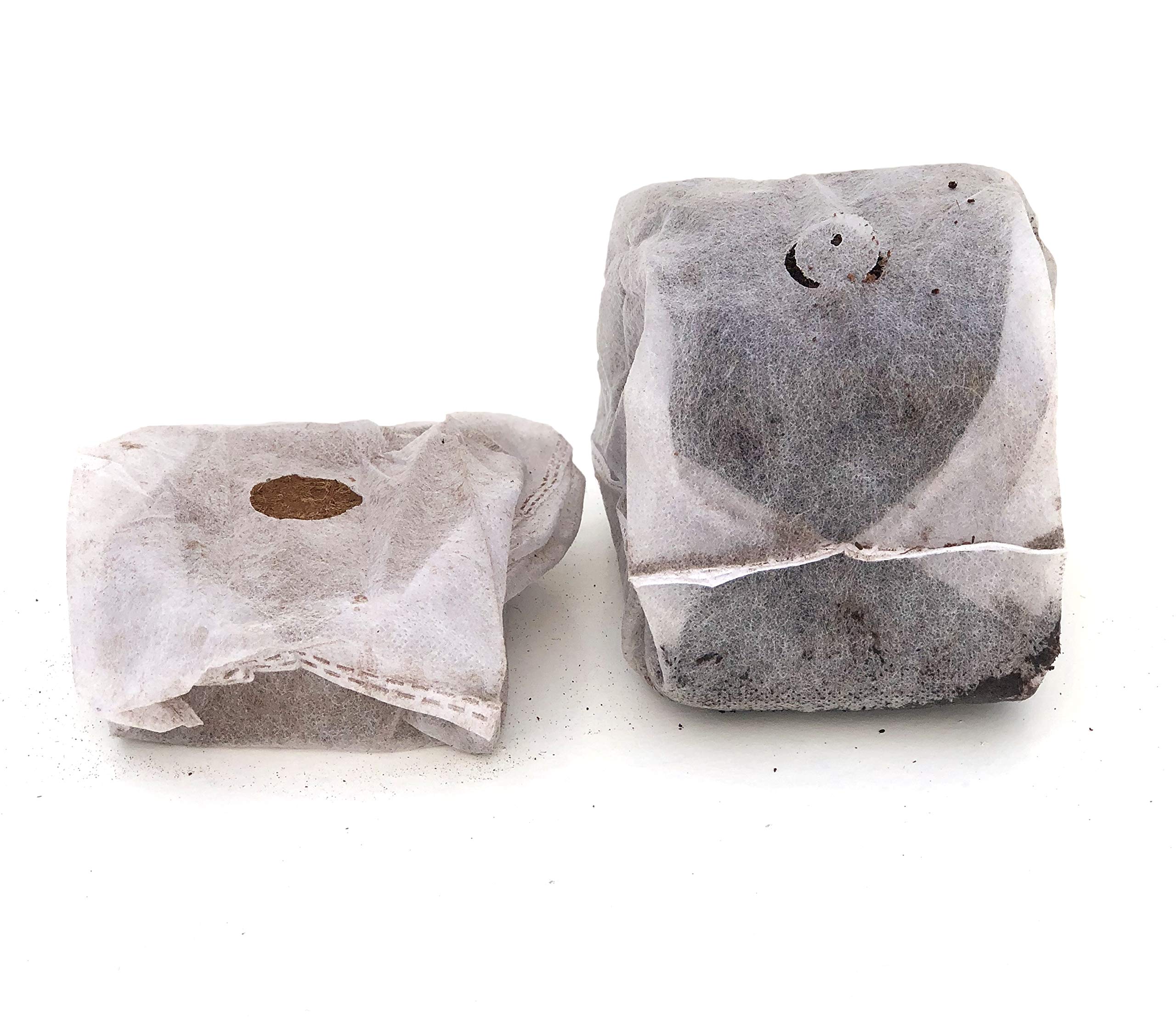 Amazon.com : Grow Cubes – 8”x8” - Blend of Coco Coir & Wood Thermal ...