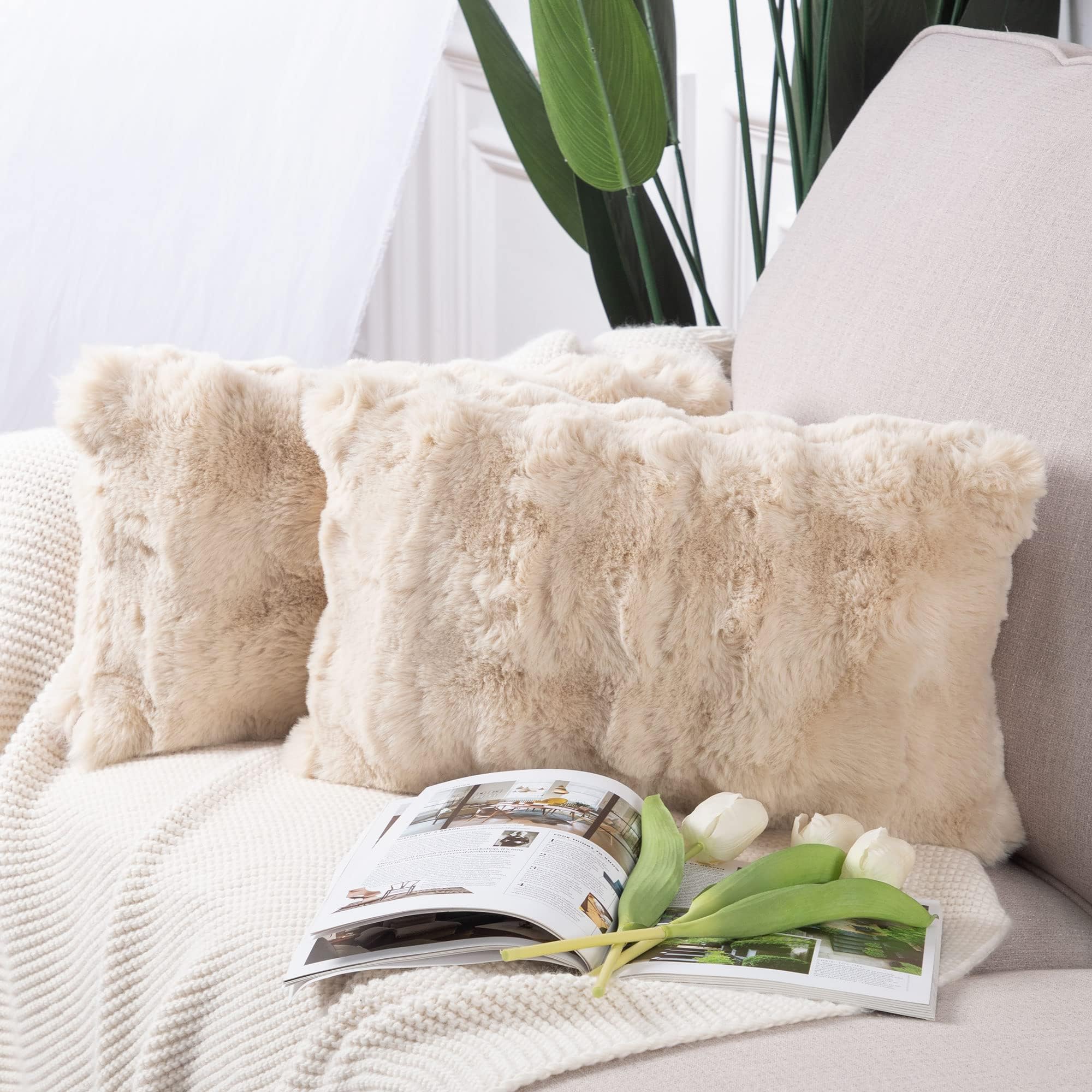 Amazon.com: ANRODUO Pack of 2 Beige Throw Pillows Luxury Fluffy Pillows ...