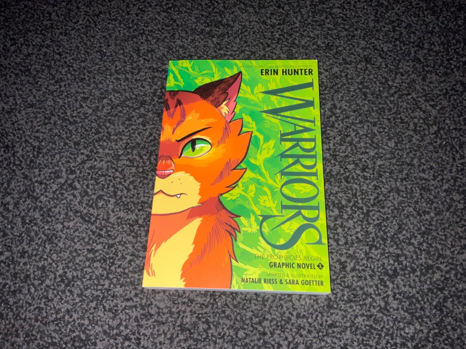 Warriors Graphic Novel: The Prophecies Begin #1 : Hunter, Erin, Riess, Natalie, Goetter, Sara ...