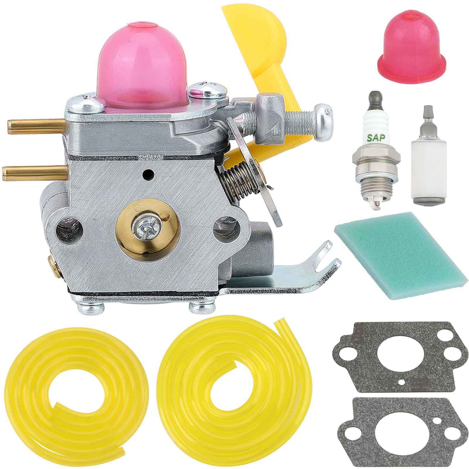 HIPA Carburateur C1U-W24 545081808 avec outil de réglage pour ...