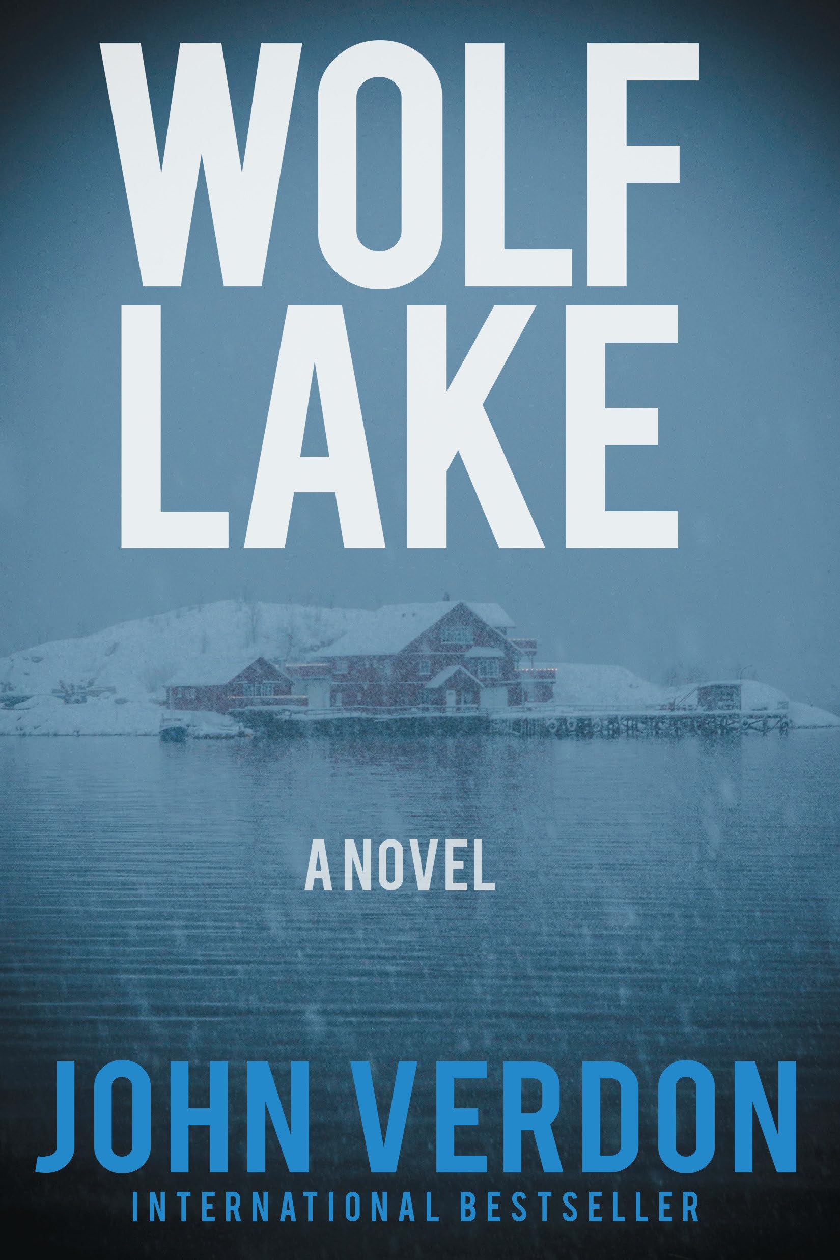 Amazon.com: Wolf Lake: A Dave Gurney Novel: Book 5: 9781619029477 ...