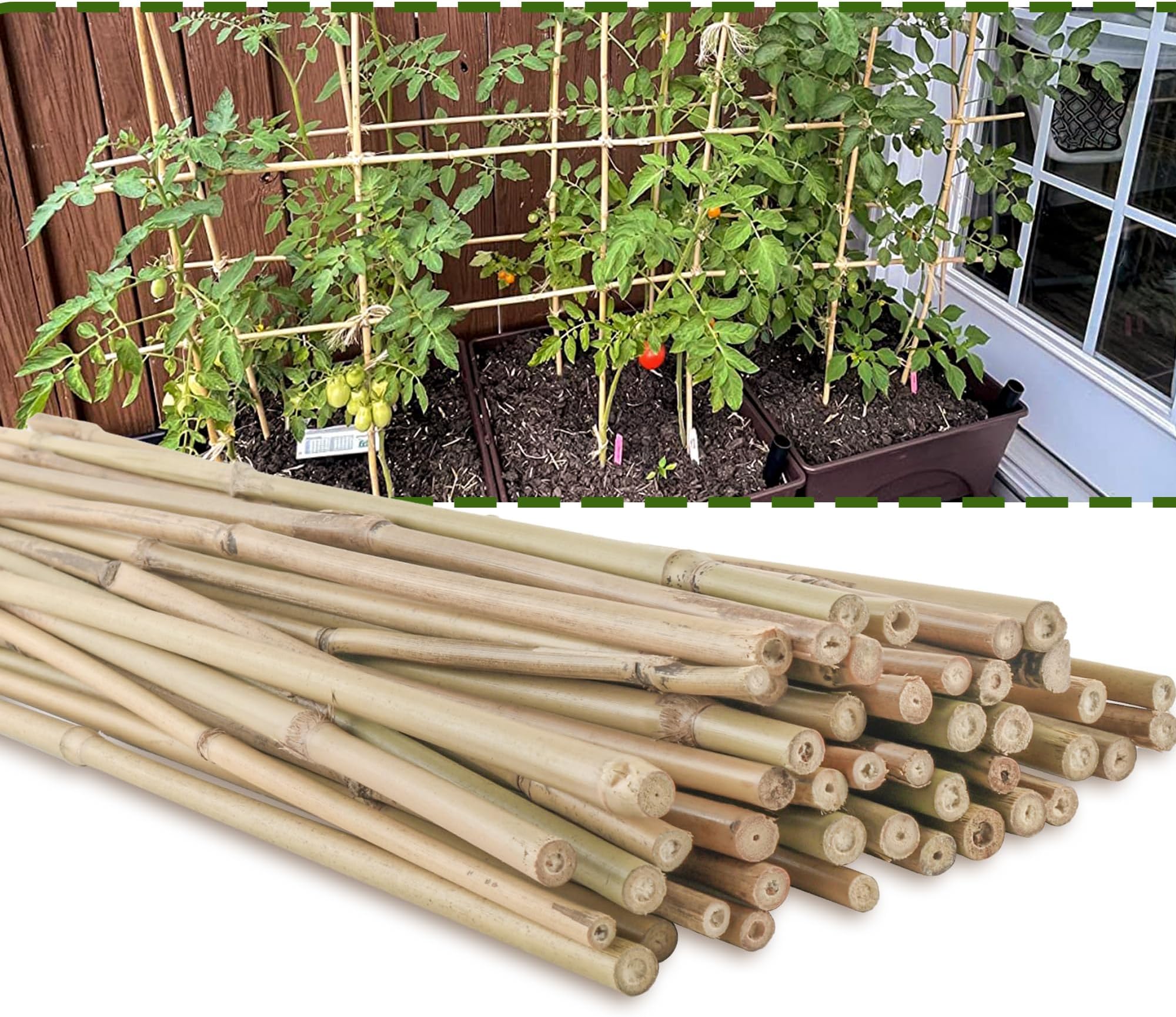 Amazon.com : HTWNK 50PC 4 FT NaturalBamboo Sticks Gardening Plant ...