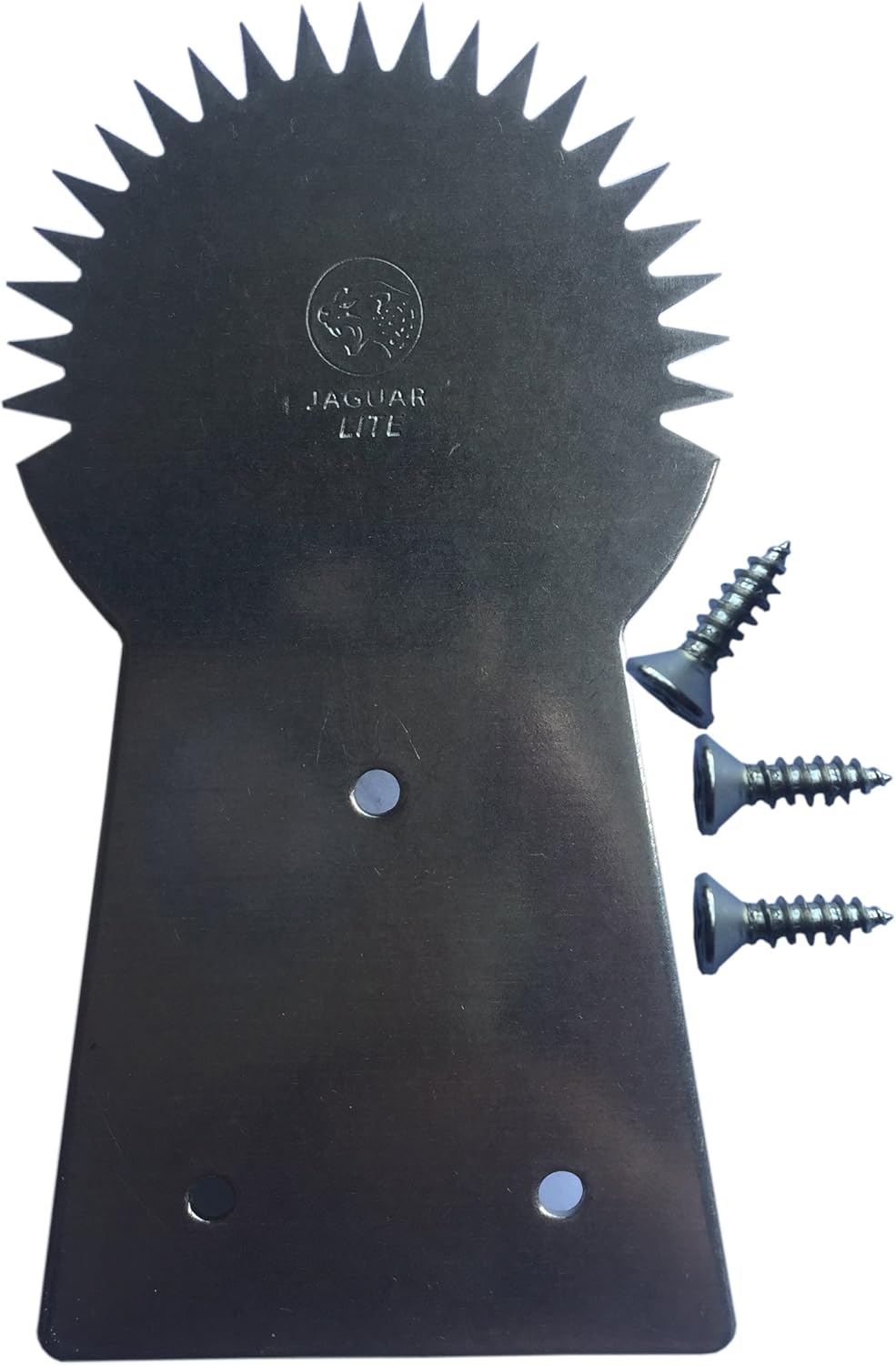 Amazon.com: Ni_Orn Coconut Grater Scraper with Screw Thai Teeth Tool ...