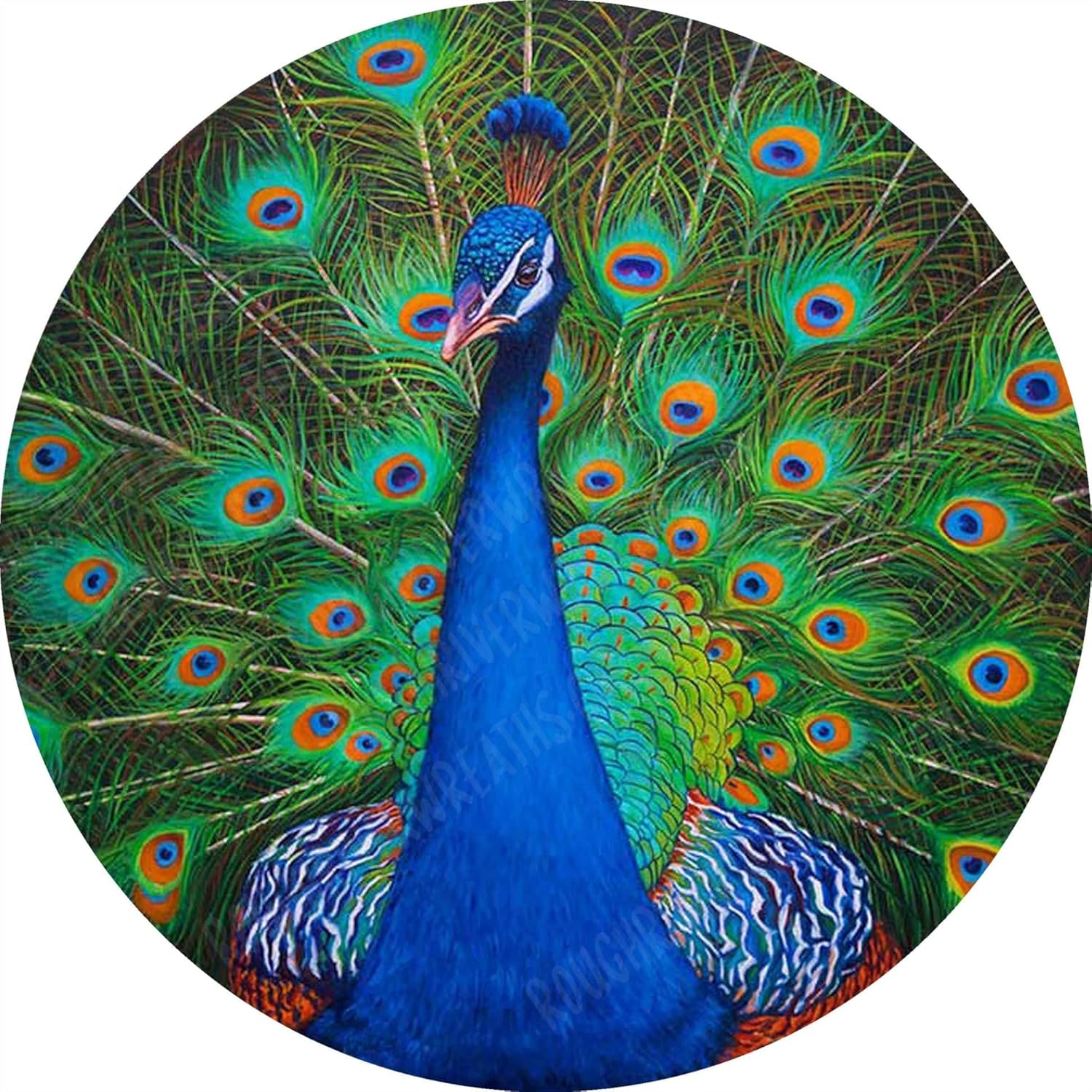 Amazon.com: Tin Signs Peacock Wreath Sign, Peacock Accent Sign, Peacock ...