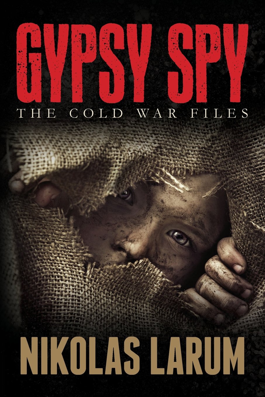 Amazon.com: Gypsy Spy: The Cold War Files: 9781534632097: Larum ...