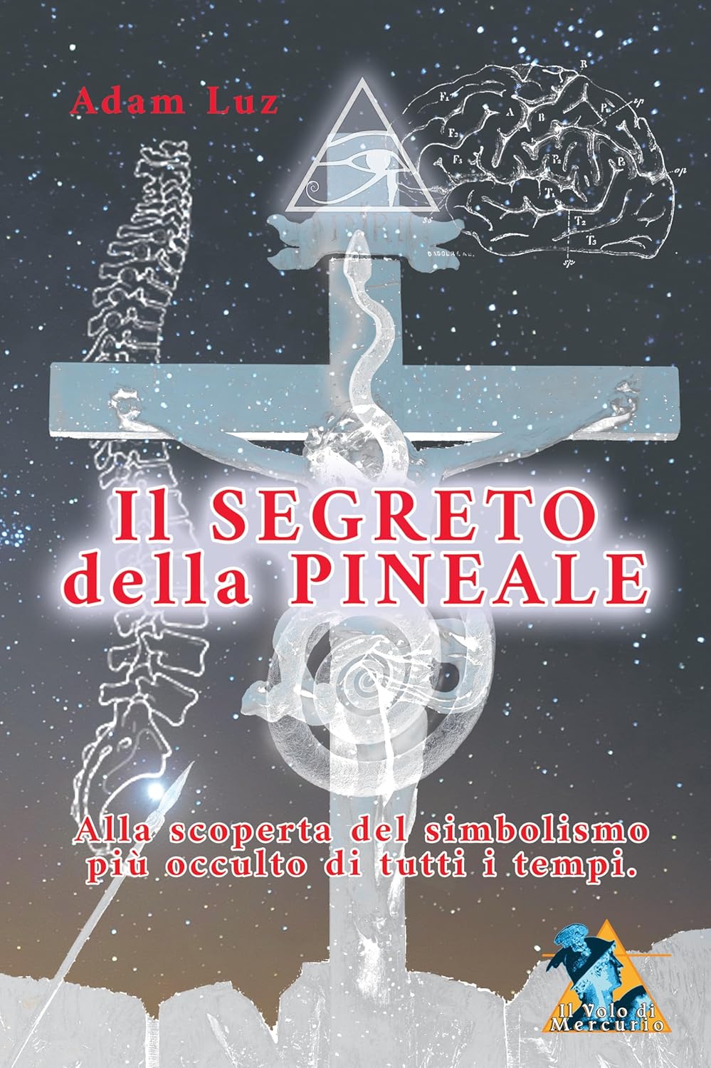 Il Segreto della Pineale: Alla scoperta del simbolismo più occulto di ...