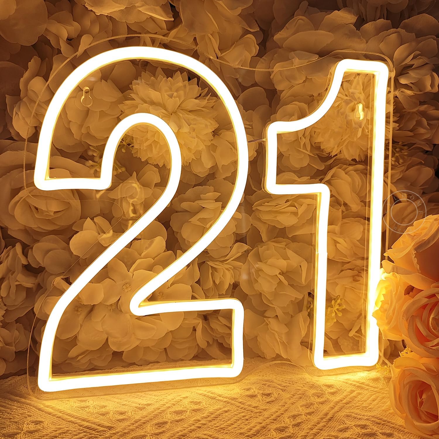 Treela 8.7'' Decorative LED Light up Numbers, Light up Number Sign for ...