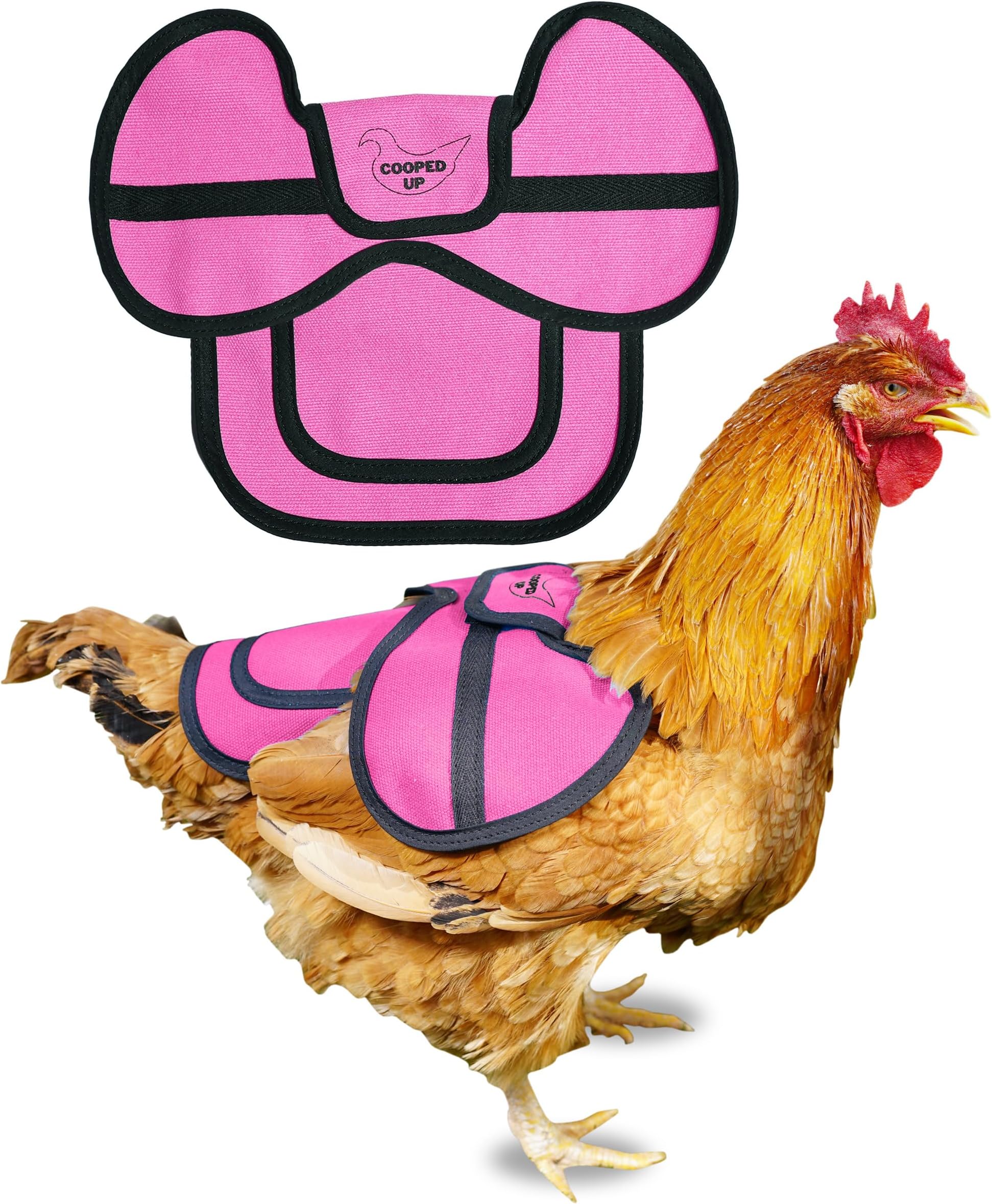 Amazon.com : 10pcs Chicken Saddle for Hens, Chicken Aprons for Hens ...