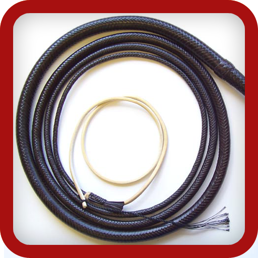 The Whip Pro - App on Amazon Appstore