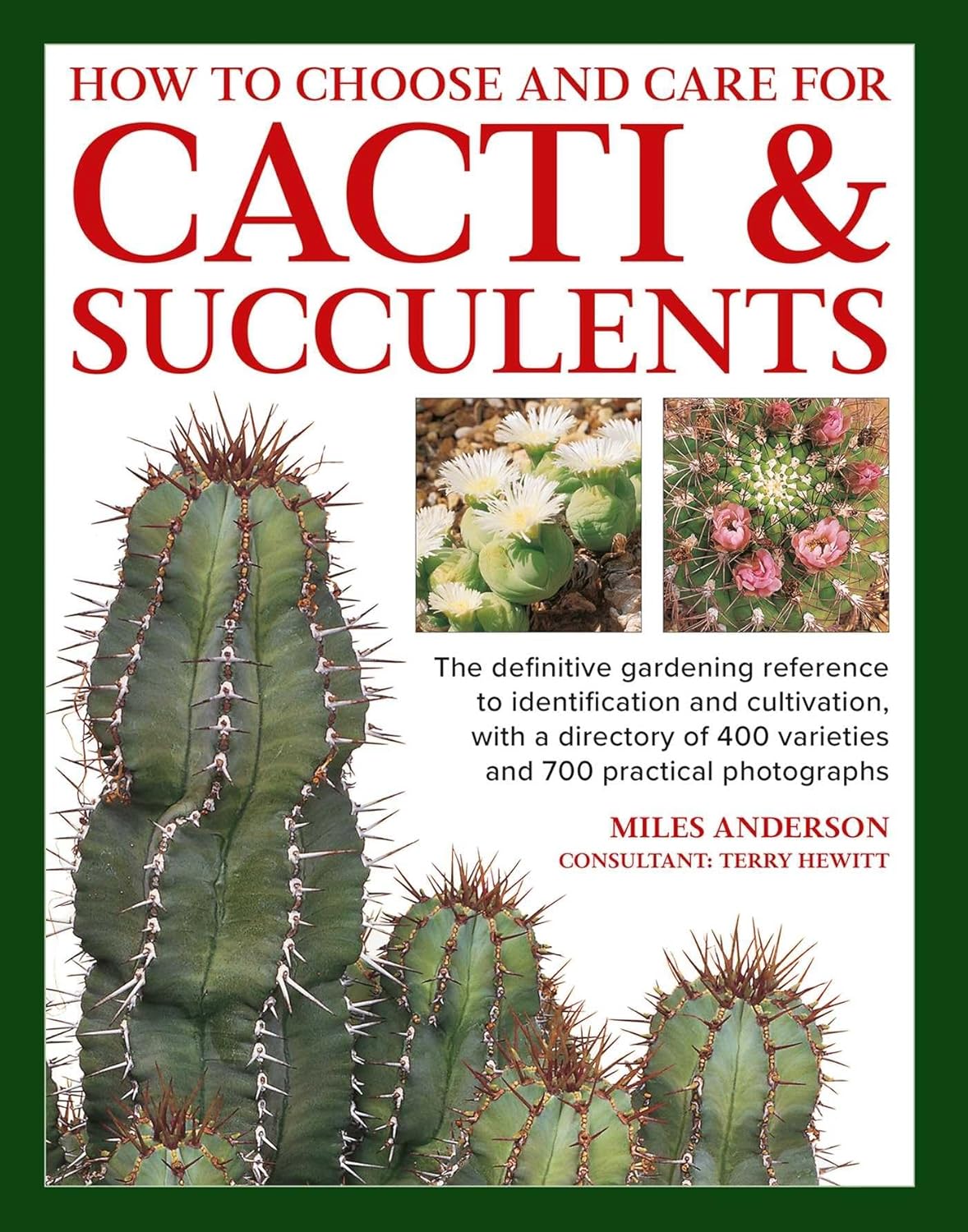 How to Choose and Care for Cacti & Succulents: The definitive gardening ...
