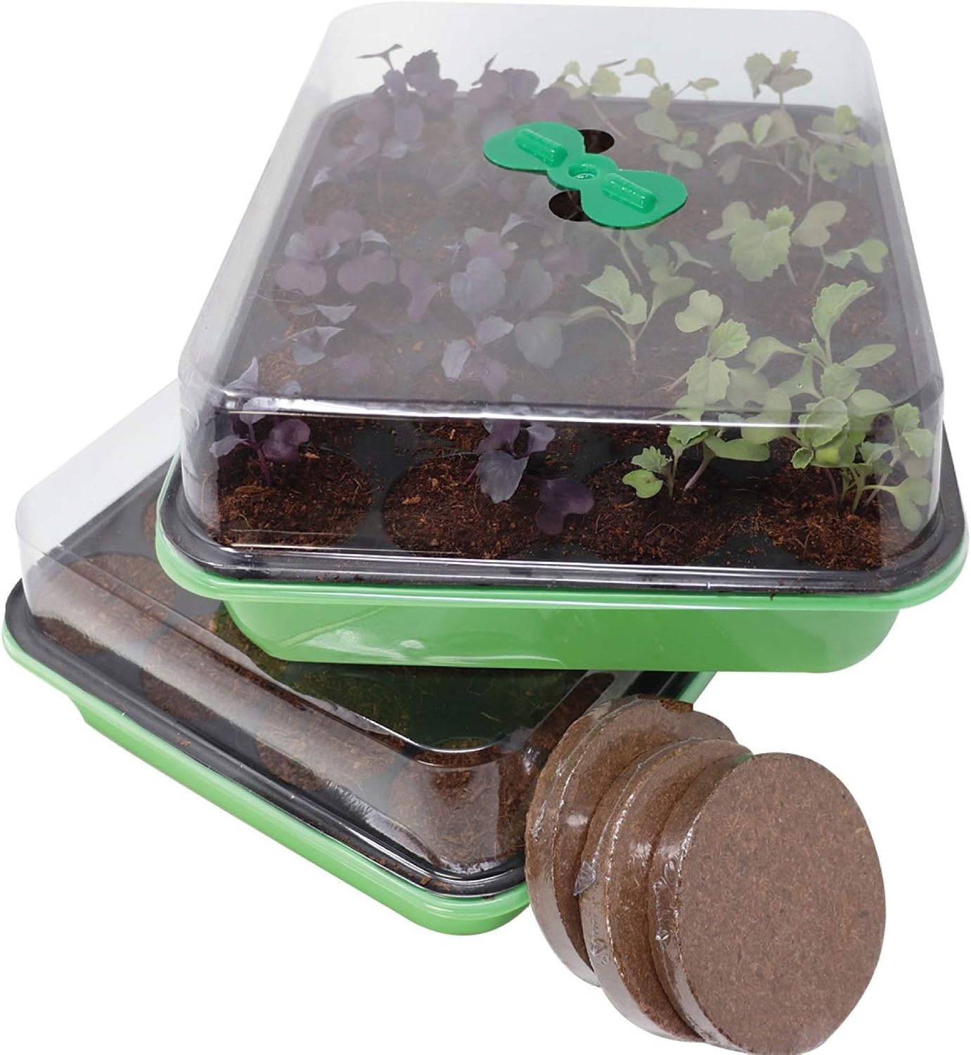 Amazon.com : Window Garden 20 Cavity Seed Propagation Kits (2 ...