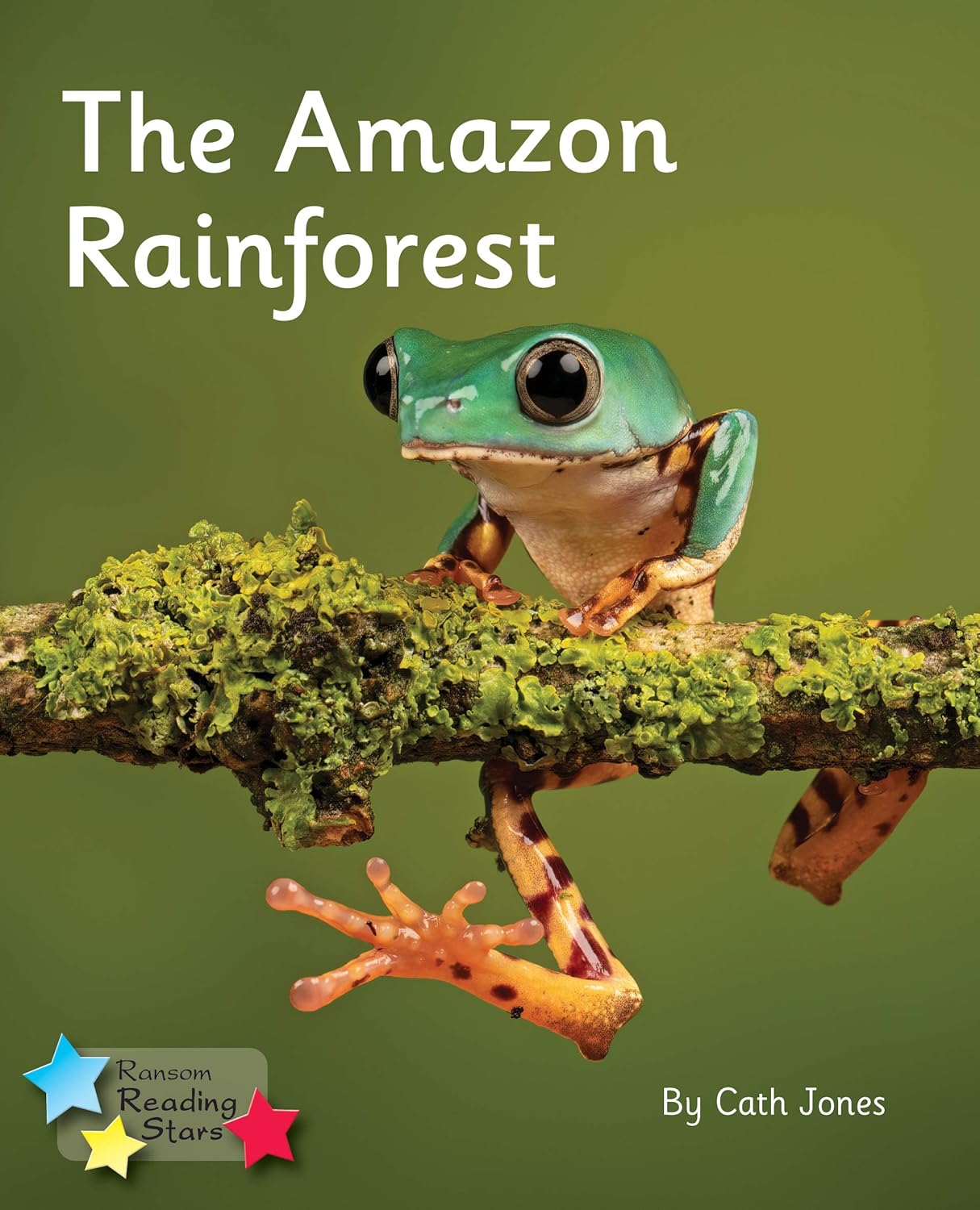 The Amazon Rainforest : Jones, Cath, Jones Cath: Amazon.in: Books