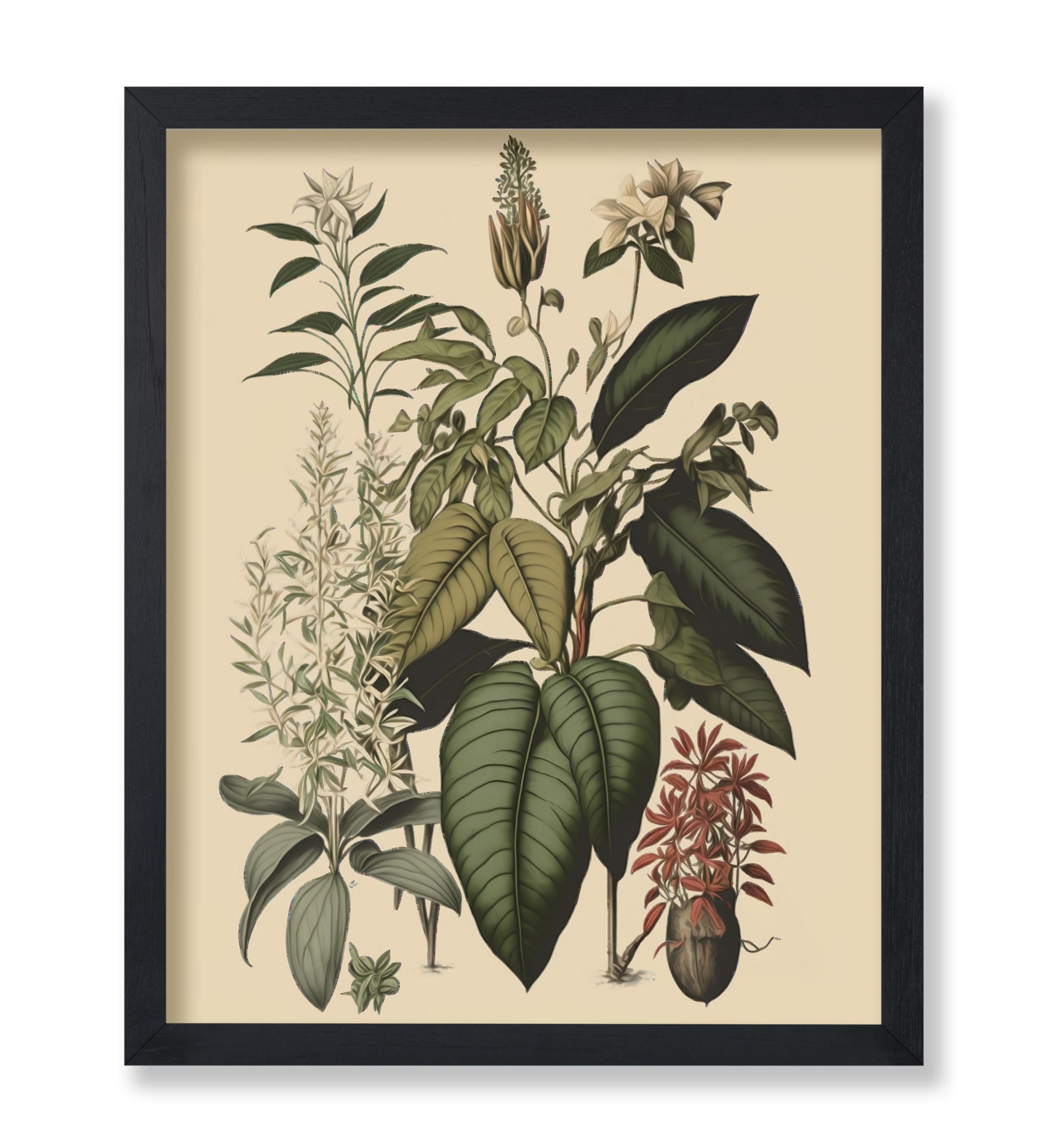 Amazon.com: Poster Master Vintage Wild Flower Poster - Retro Botanical ...