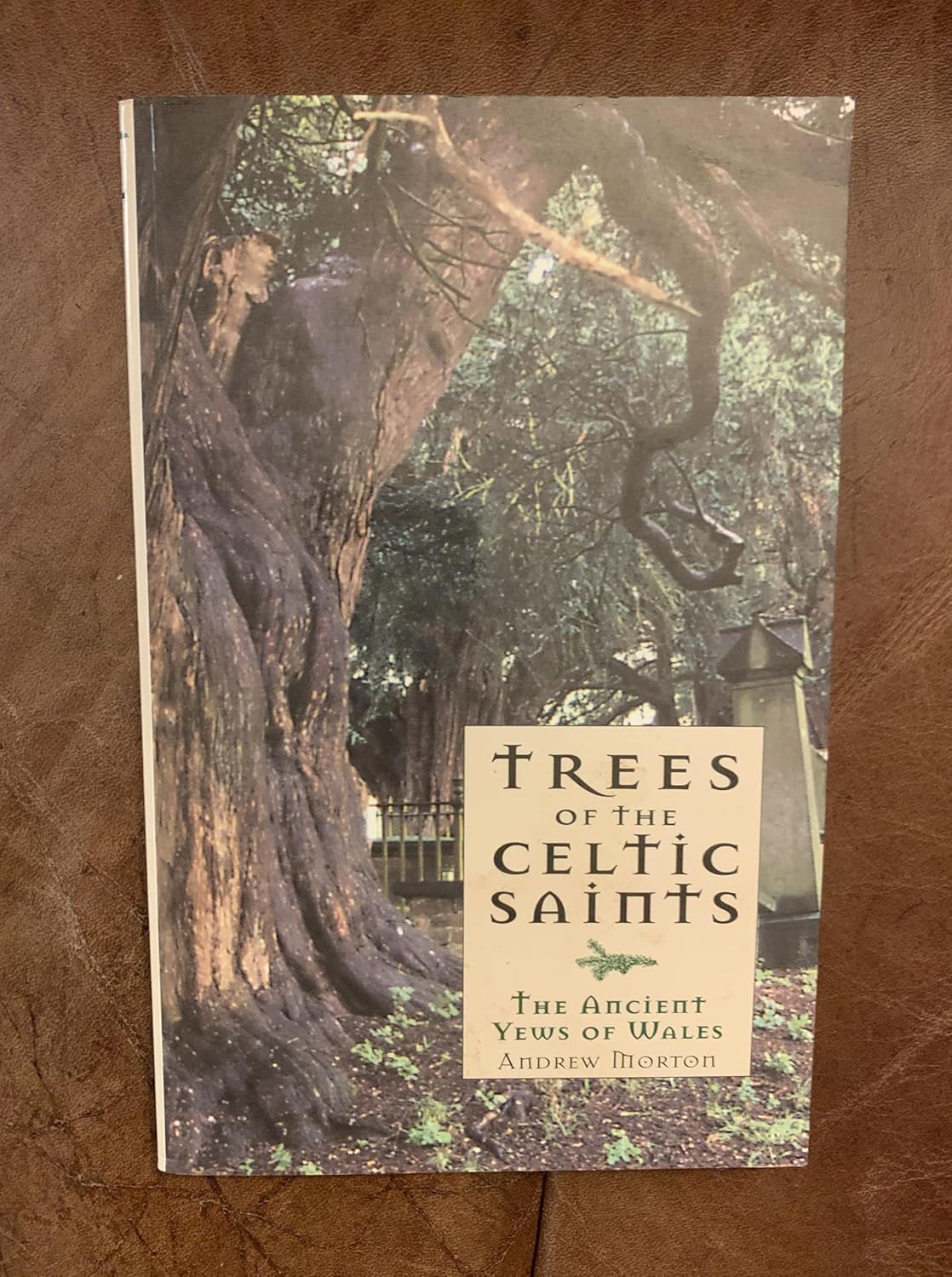 Trees of the Celtic Saints The Ancient Yews of Wales: Amazon.co.uk ...