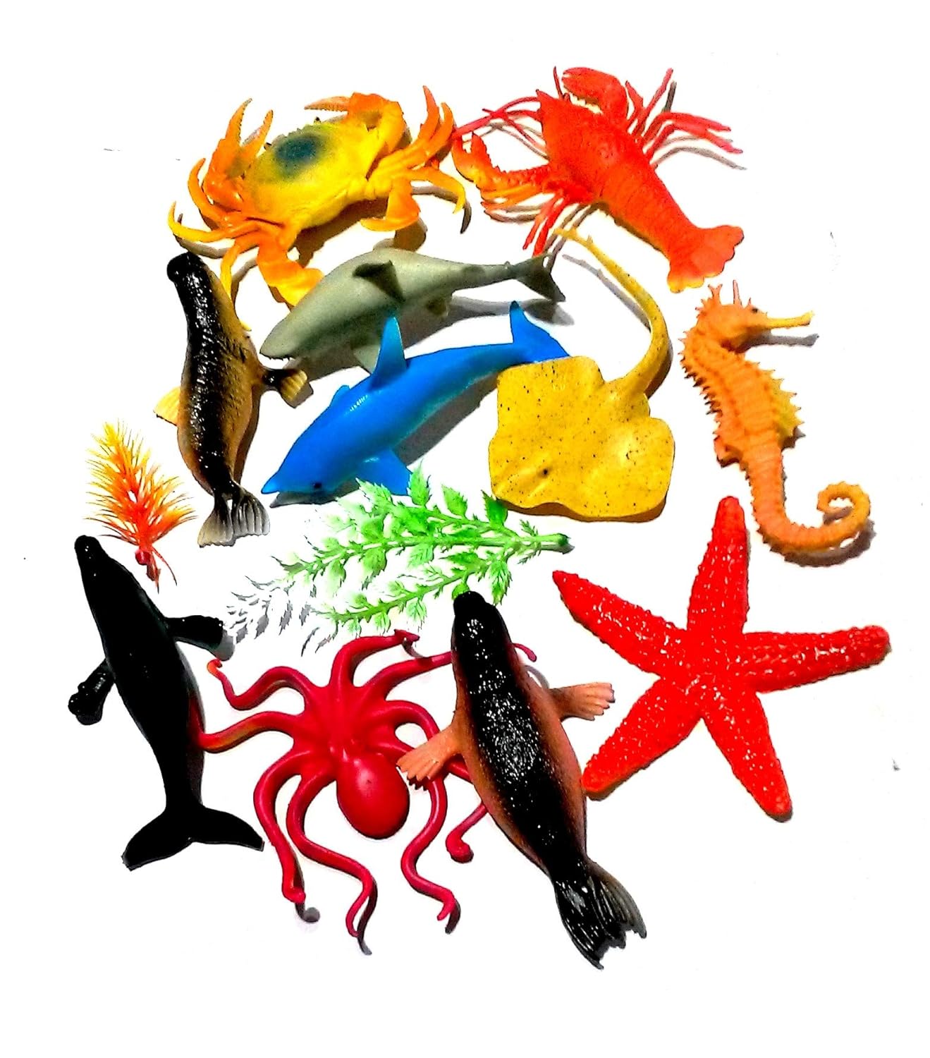 Buy Nawani Water World 11 Pic Water Animal + Plants Ocean/Water/Marine ...