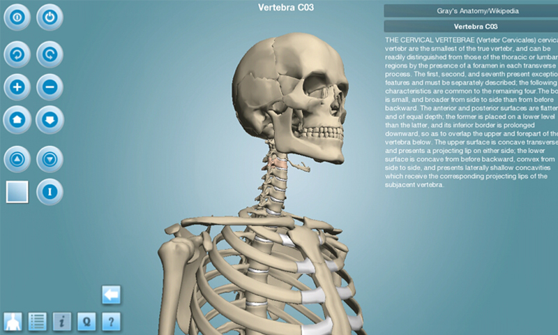 Free 3d Anatomy Software Library Subscription Overview