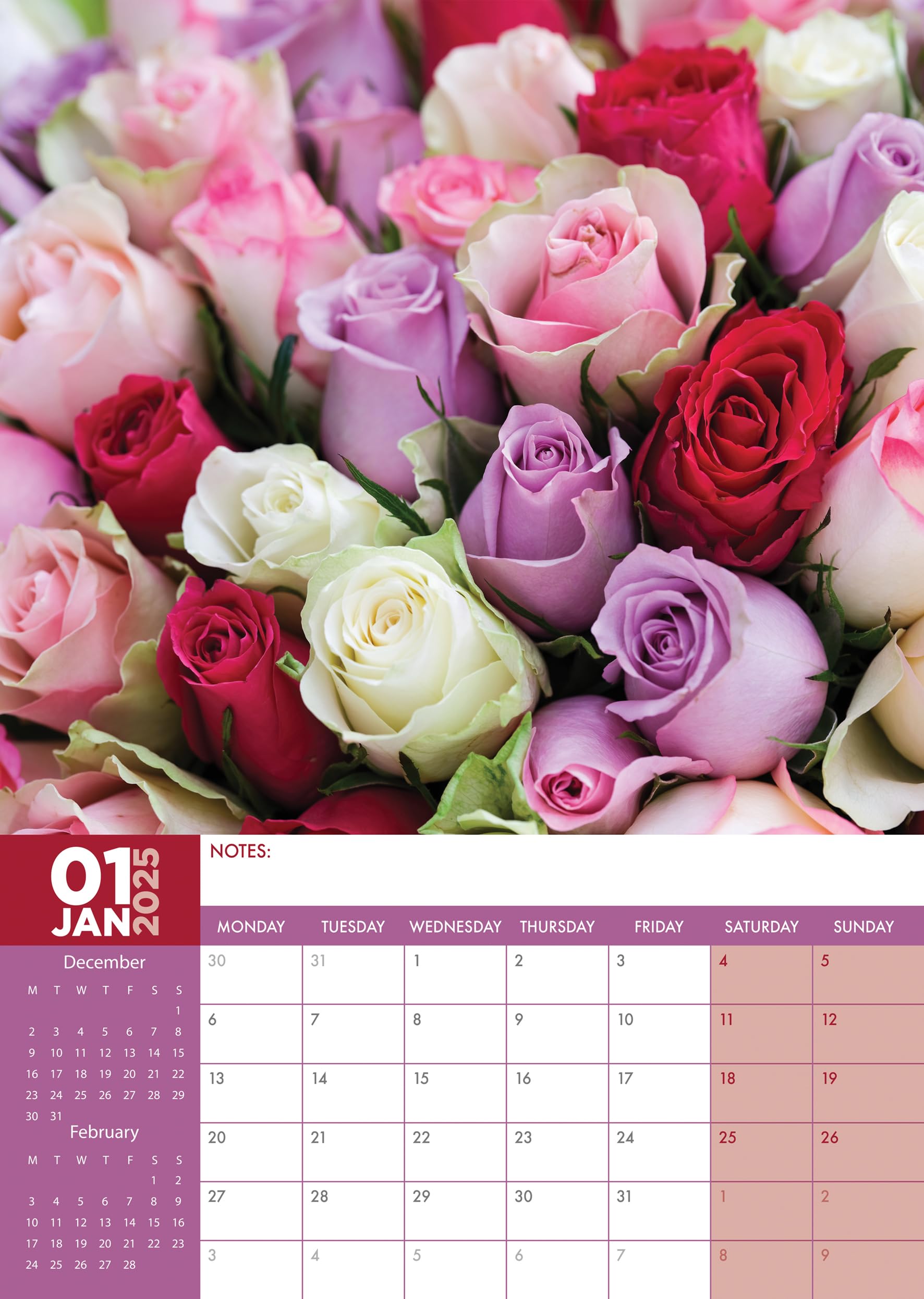 Roses 2025 – A3 Size Wirobound Calendar – BigaMart