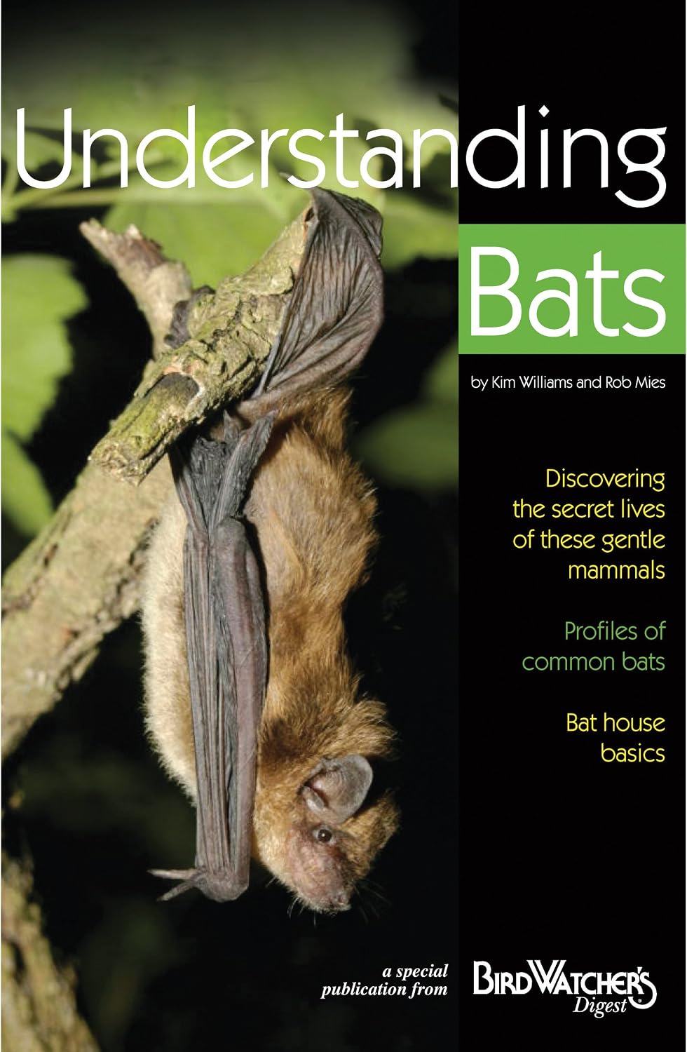Amazon.com : Bird Watchers Digest 395 Understanding Bats Booklet ...