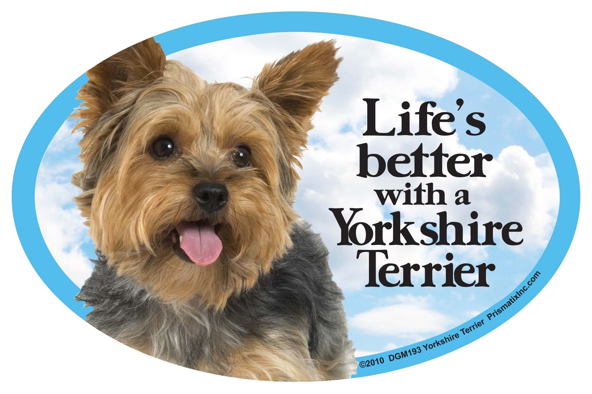 Amazon.com: Prismatix Decal Dog Pet Magnets, Yorkshire Terrier - Life's ...