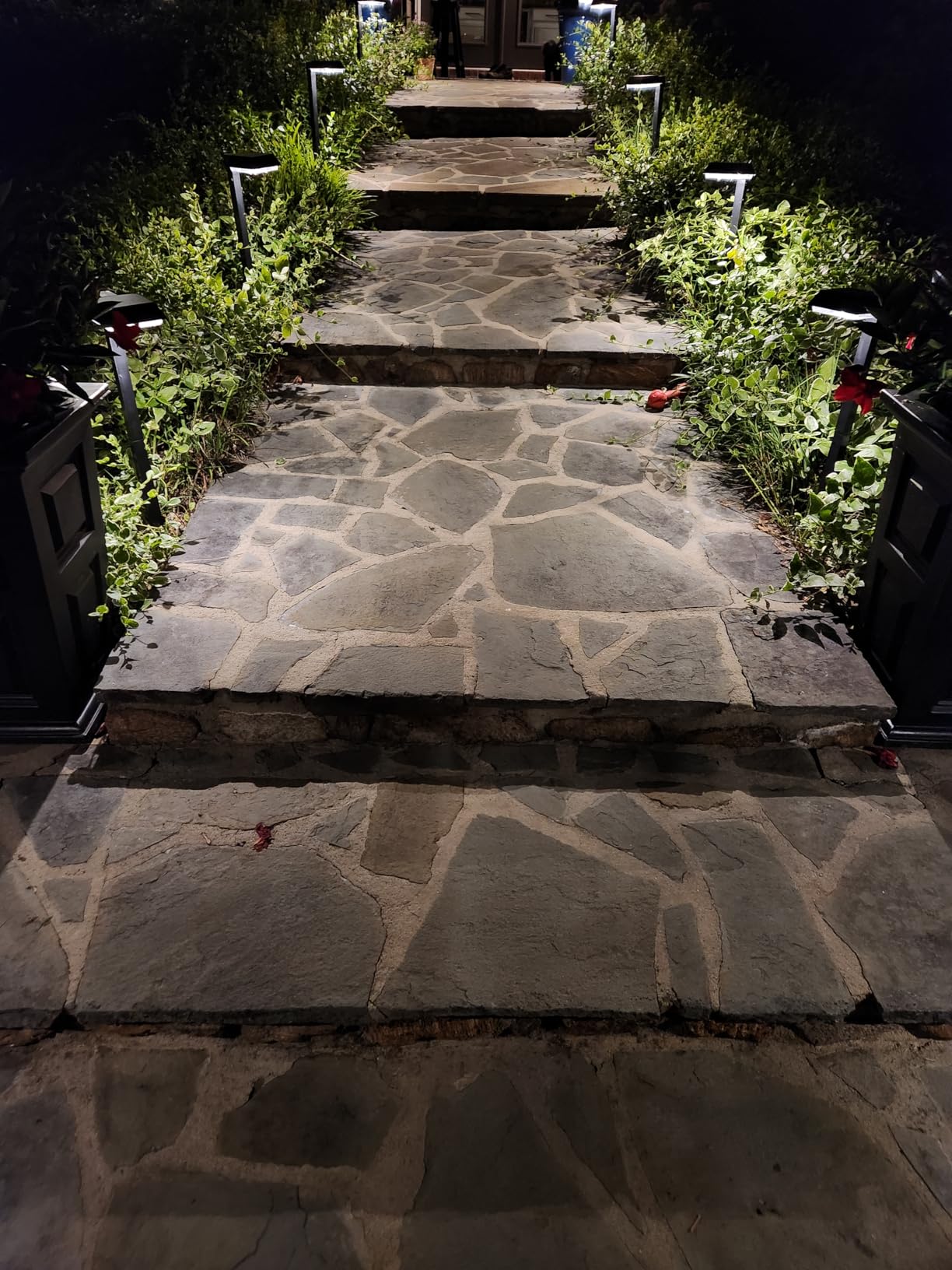 Sunco 6 Pack 2W Solar Sidewalk Dusk to Dawn Outdoor Backyard Walkway ...