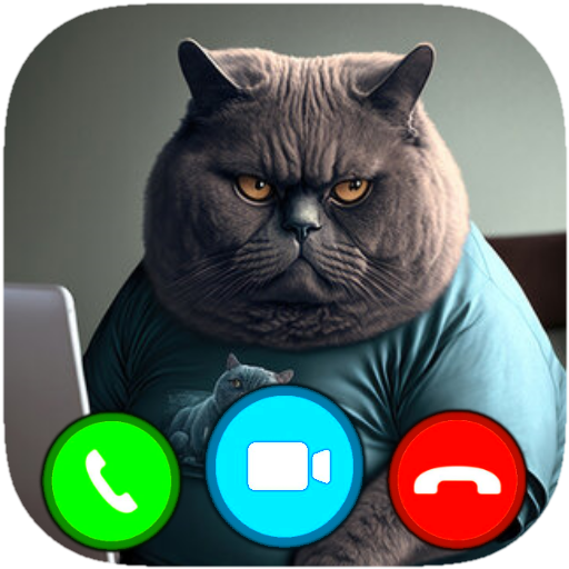 Fat Cats - Call and Prank Video - App on Amazon Appstore