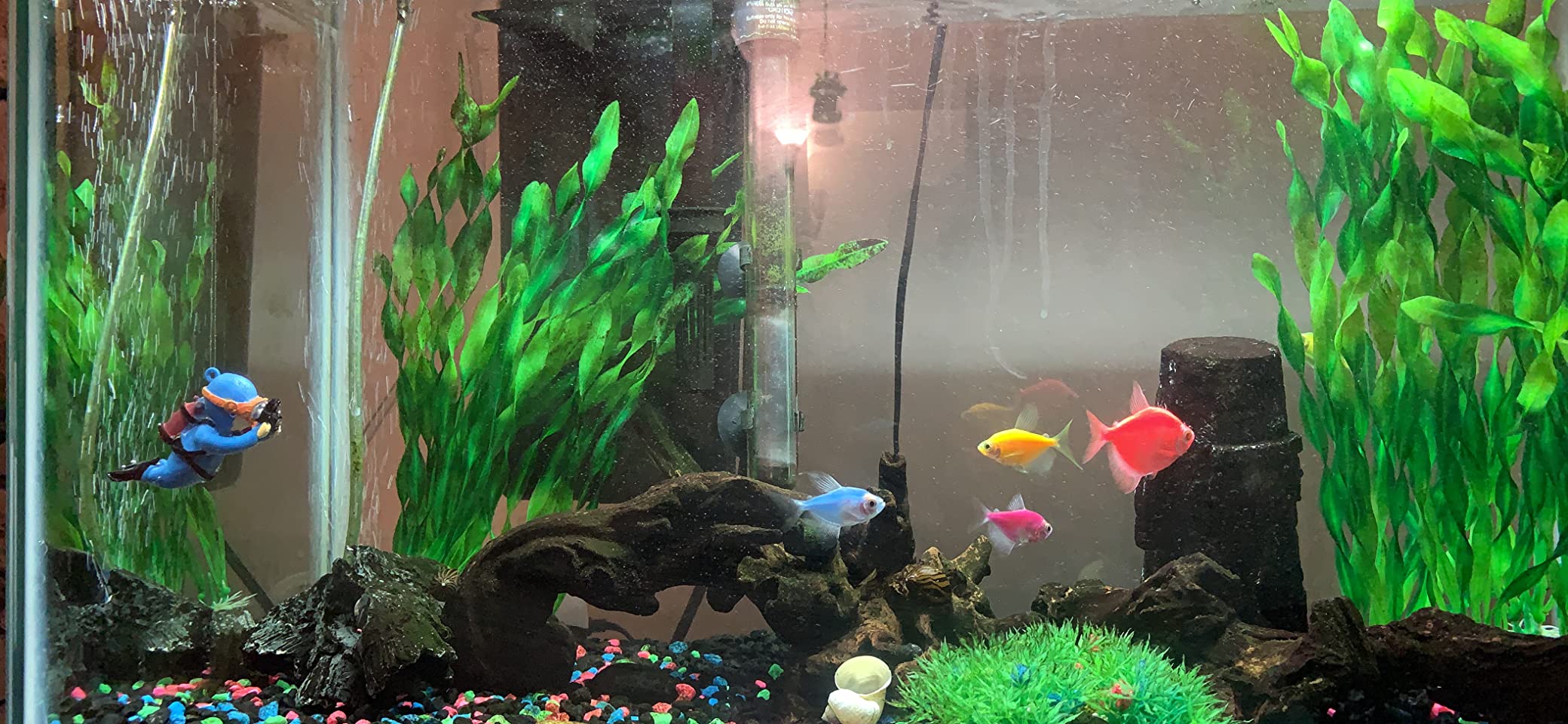 Amazon.com: onesimcr Floating Fish Tank Decorations, Aquarium ...