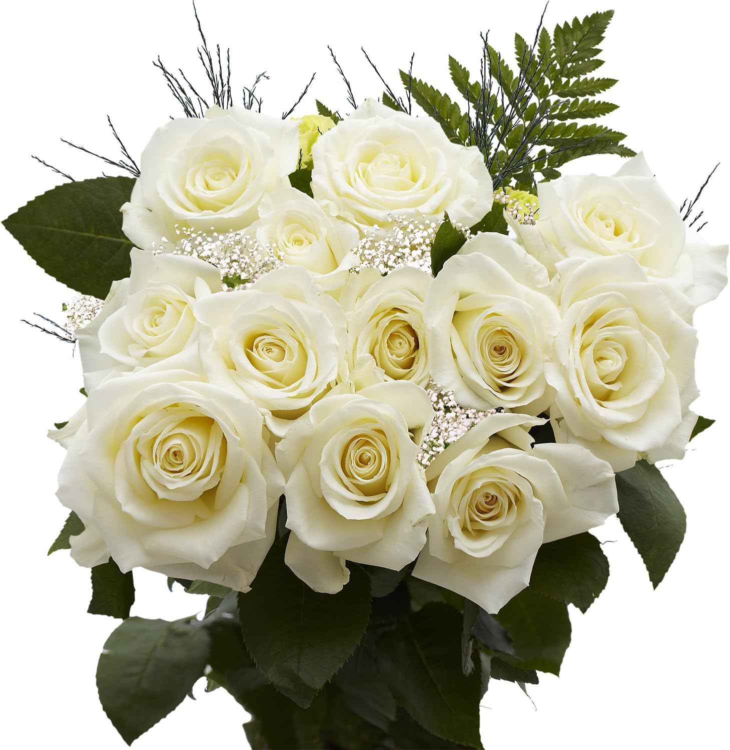 Amazon.com : GlobalRose 1 Dozen White Roses & Fillers - Wondrous ...