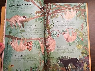 The Big Book of Beasts (The Big Book Series): Zommer, Yuval, Taylor ...