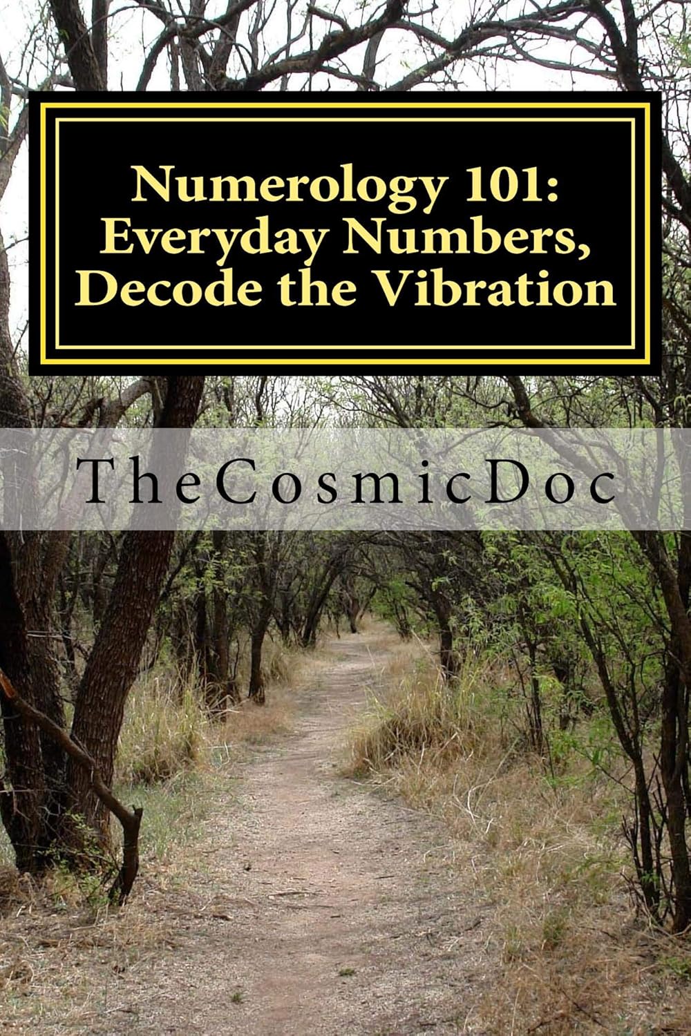 Numerology 101: Everyday Numbers, Decode the Vibrations - Kindle ...