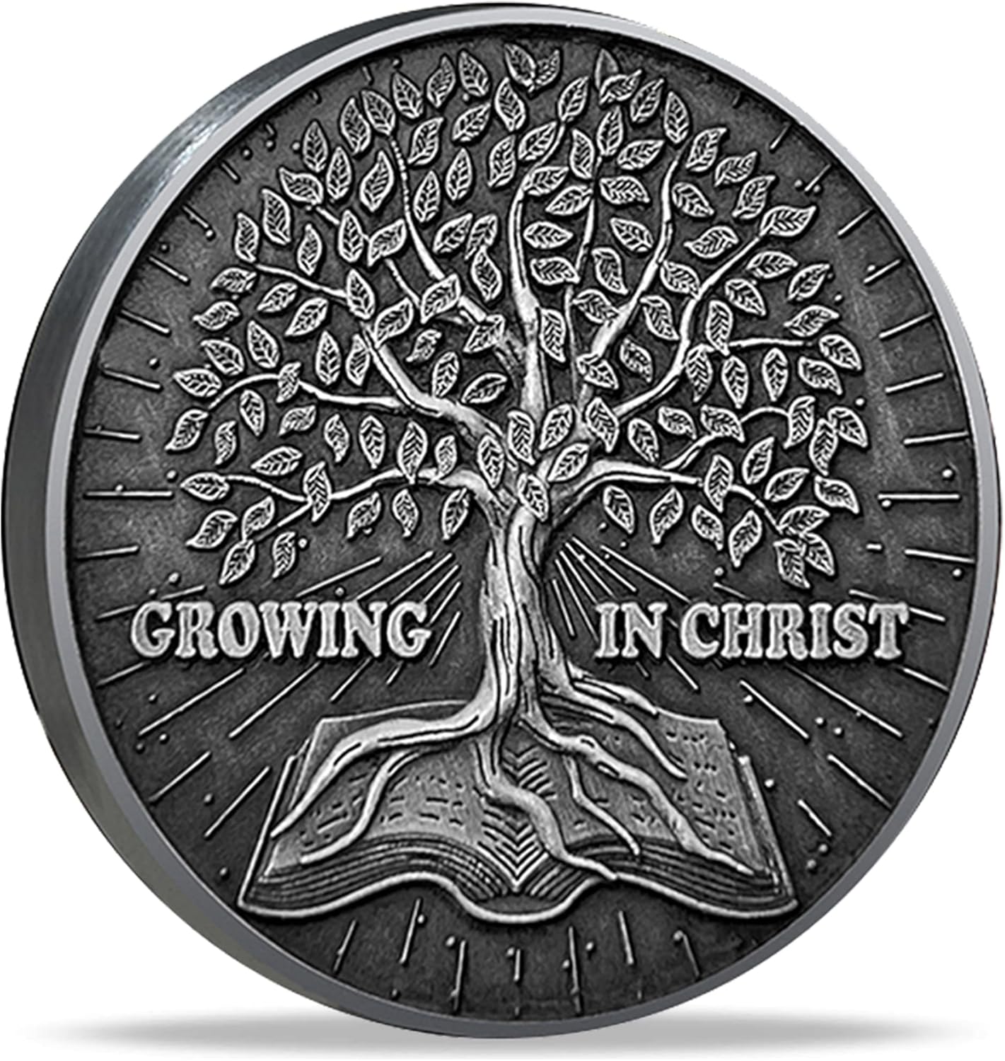 Amazon.com: Christian Challenge Coin Growing in Christ Bible Verse Gift ...