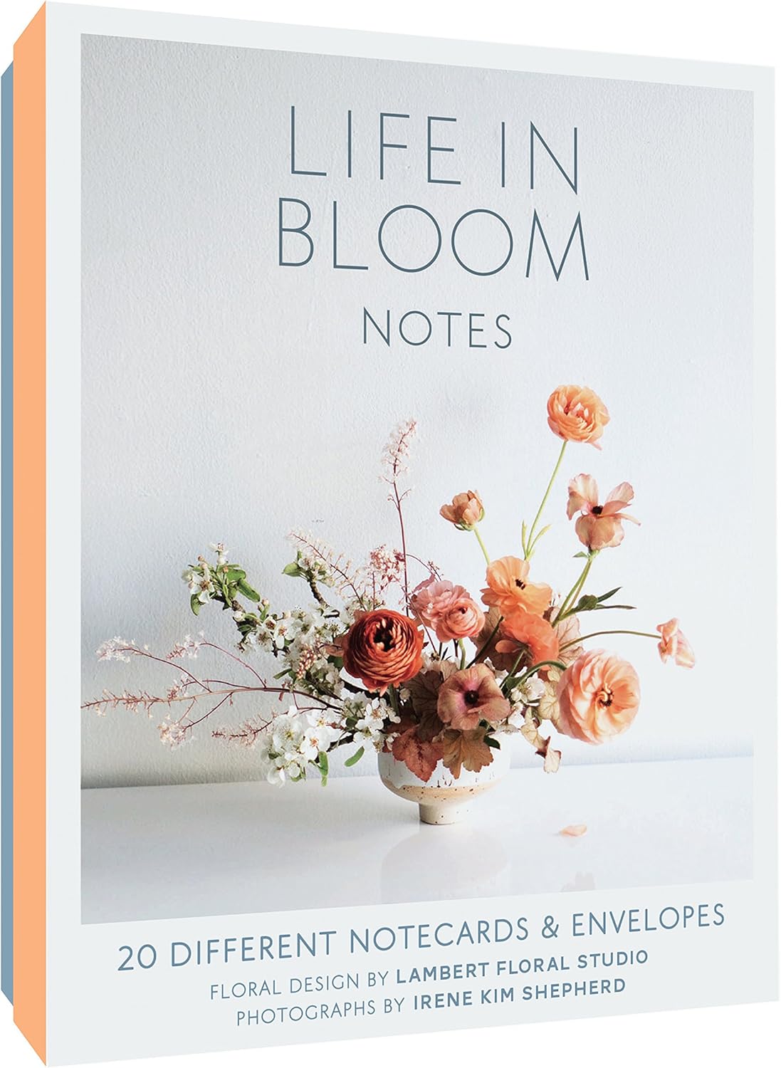 Amazon.com : Life in Bloom Notes: 20 Different Notecards & Envelopes ...