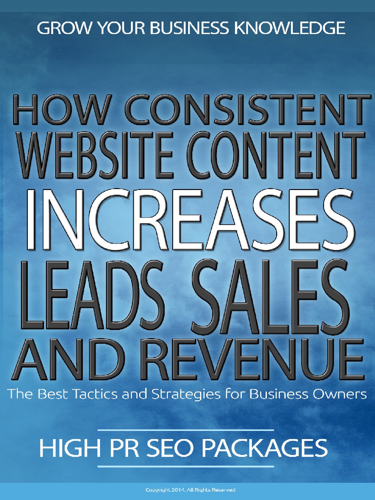 Amazon.co.jp: How Consistent Website Content Increases Leads, Sales And ...