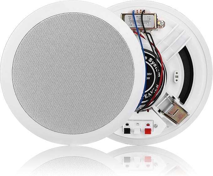 Amazon.com: Facmogu 6.5 Inch Passive Ceiling Speakers, 100V Ceiling ...