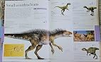 Dinosaurs: A Visual Encyclopedia, 2nd Edition (DK Children's Visual ...