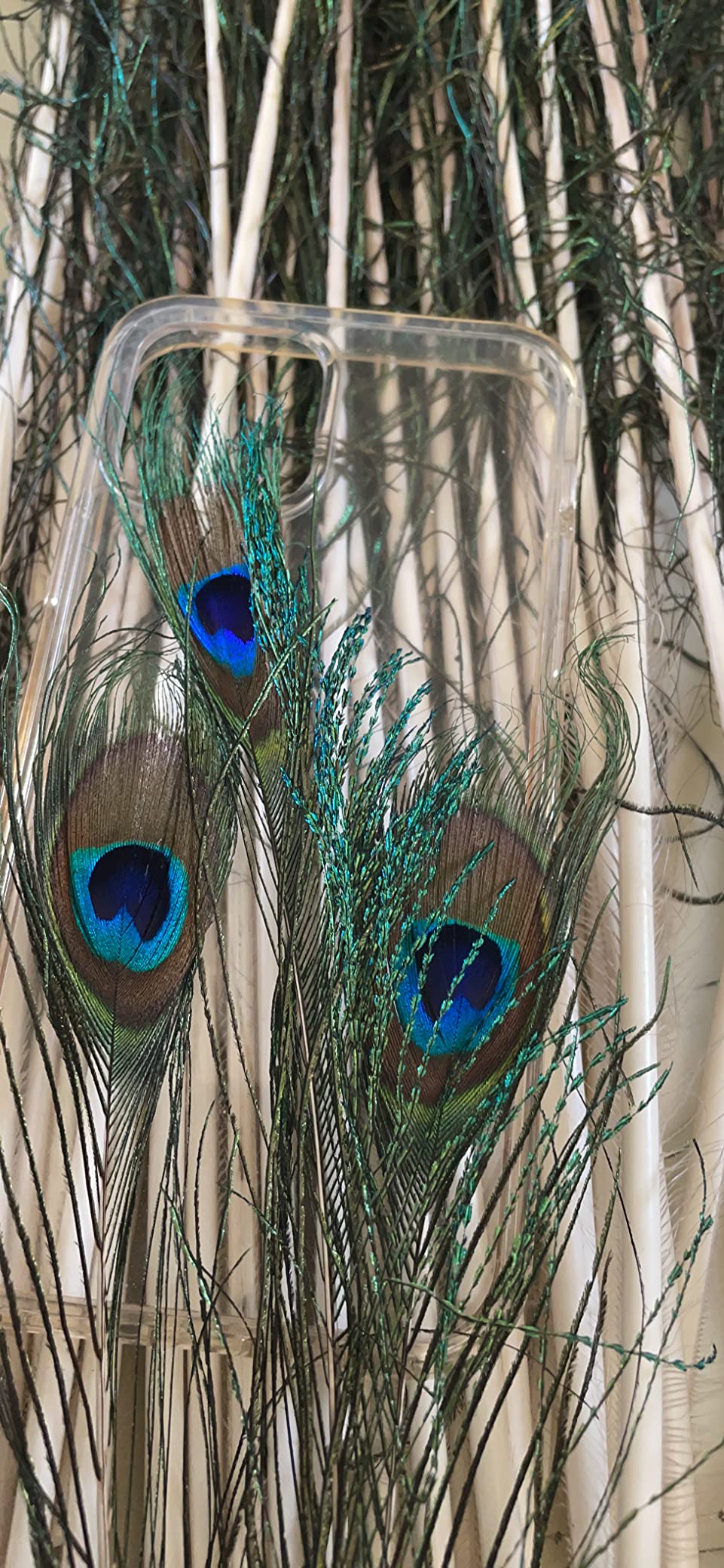 Buy uphaar Natural Peacock Feather 24 Inch | Mor Pankh | Real Peacock ...