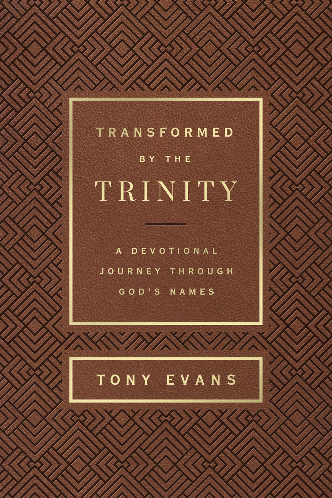 Transformed by the Trinity (Milano Softone): A Devotional Journey Through God's Names (The Names ...