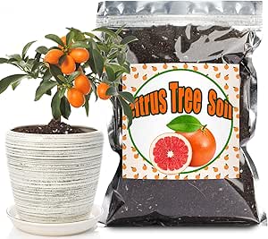 Amazon.com : Doter Citrus Tree Potting Soil Mix, Organic Loamy Potting ...