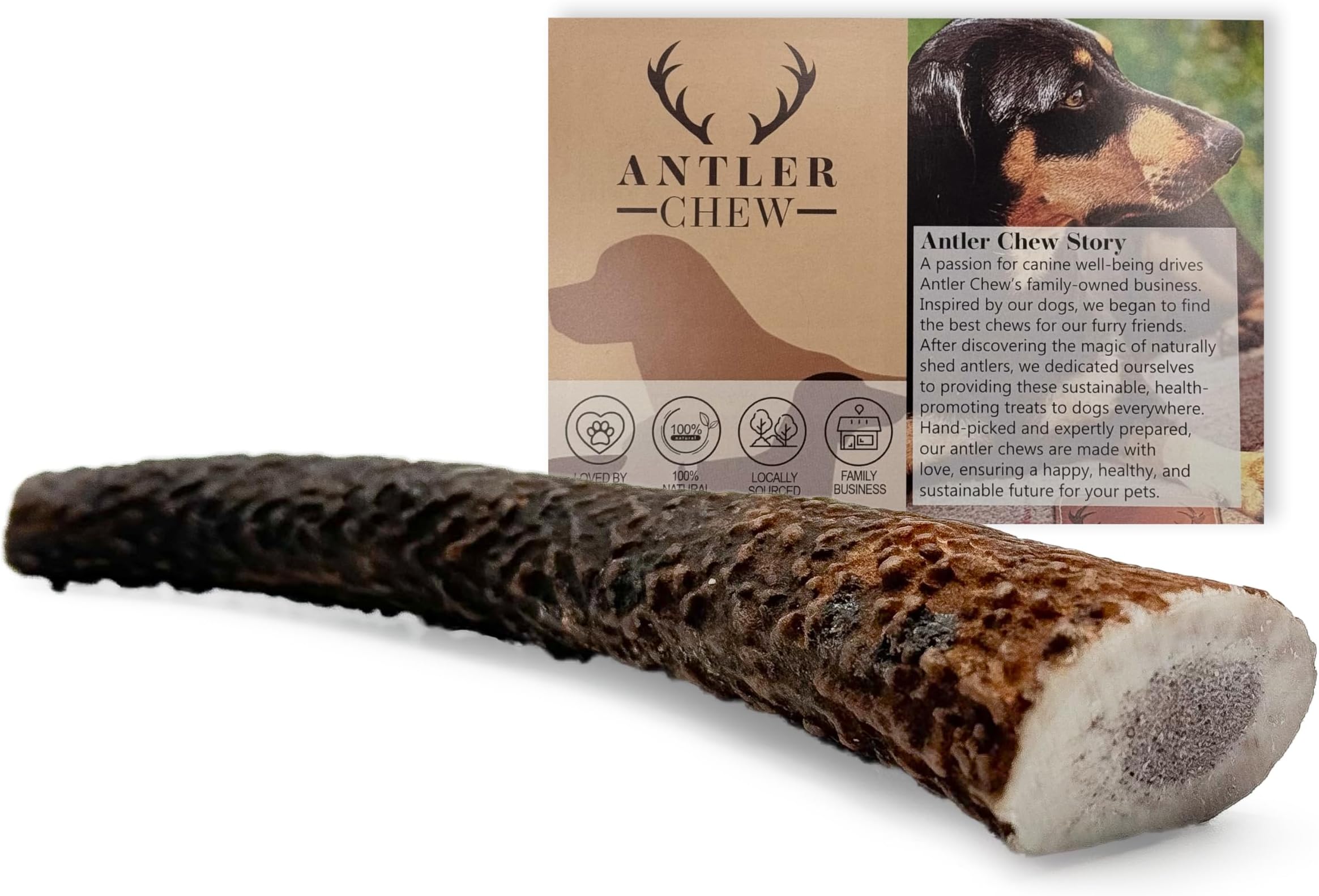 Antler Chew Dog Toy Small Size (60-70g,from 8cm), Natural Deer Antler ...