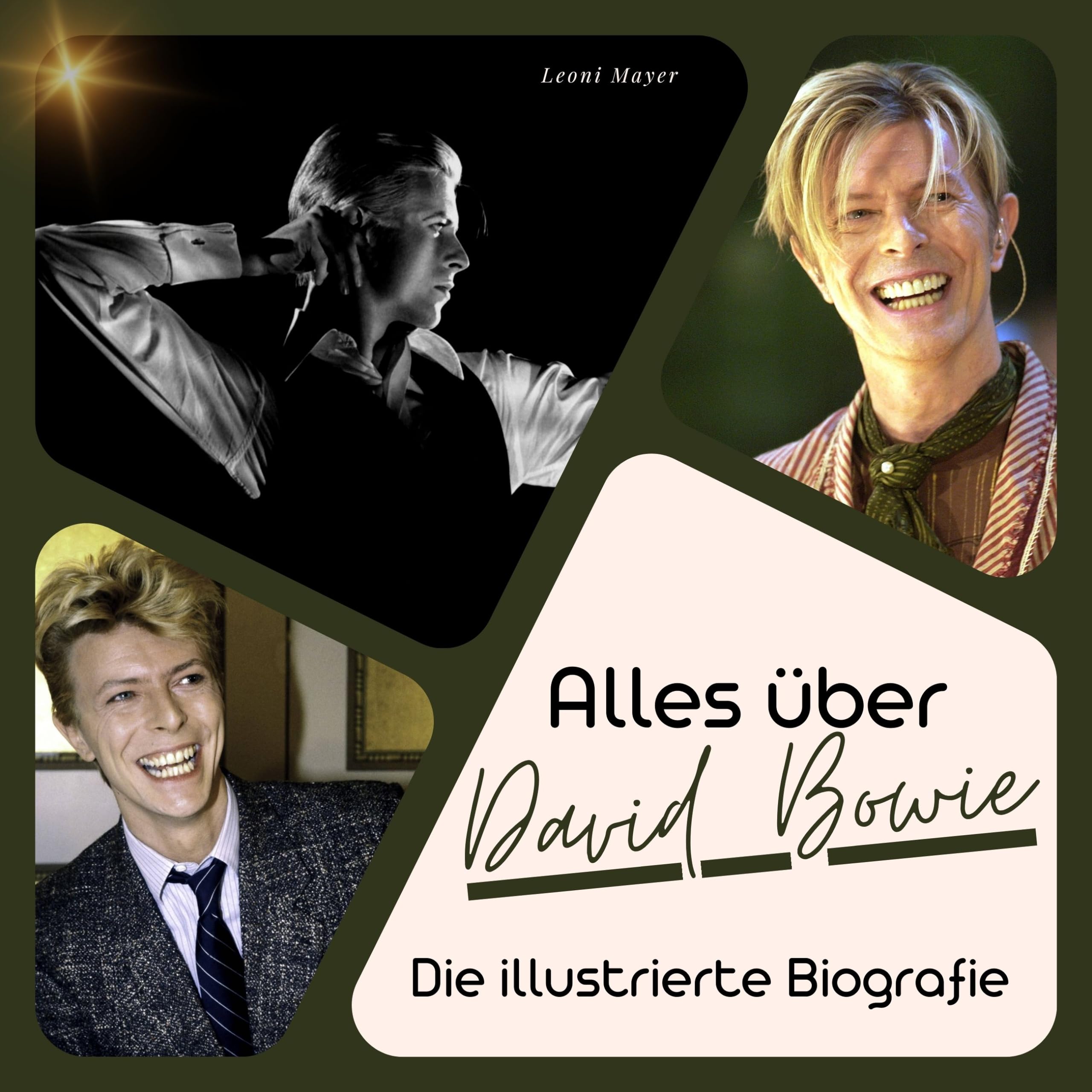 Alles über David Bowie: Die illustrierte Biografie : Mayer, Leonie ...
