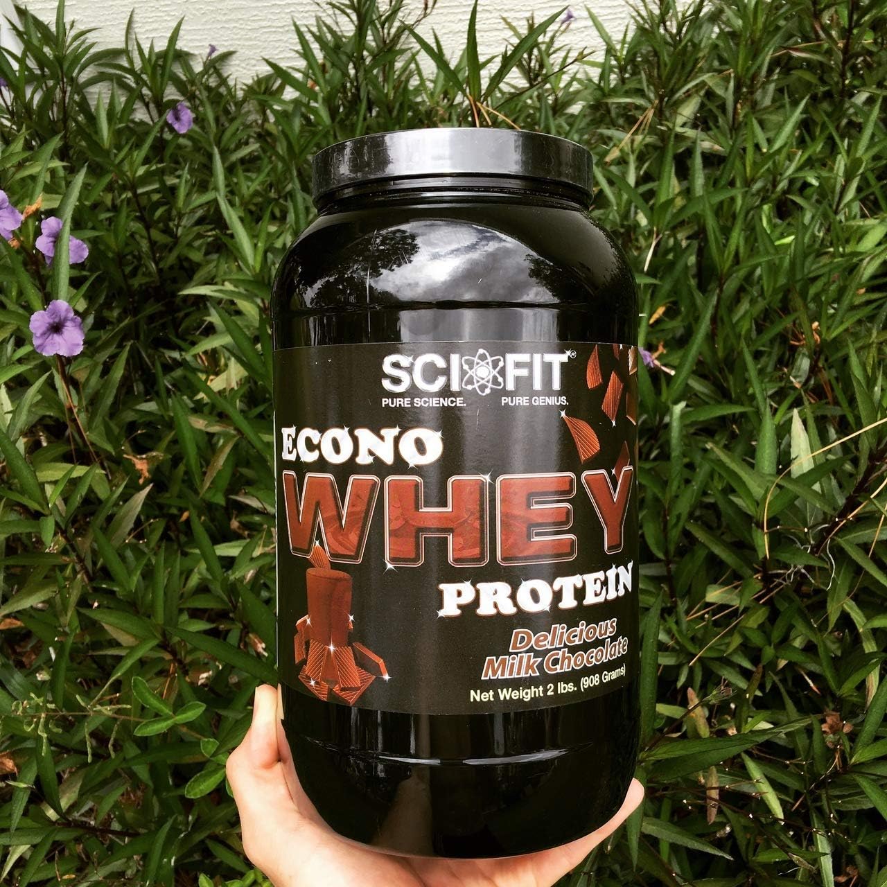 Amazon.com: Scifit Econo Whey Protein, 2 lb, Chocolate : Health & Household