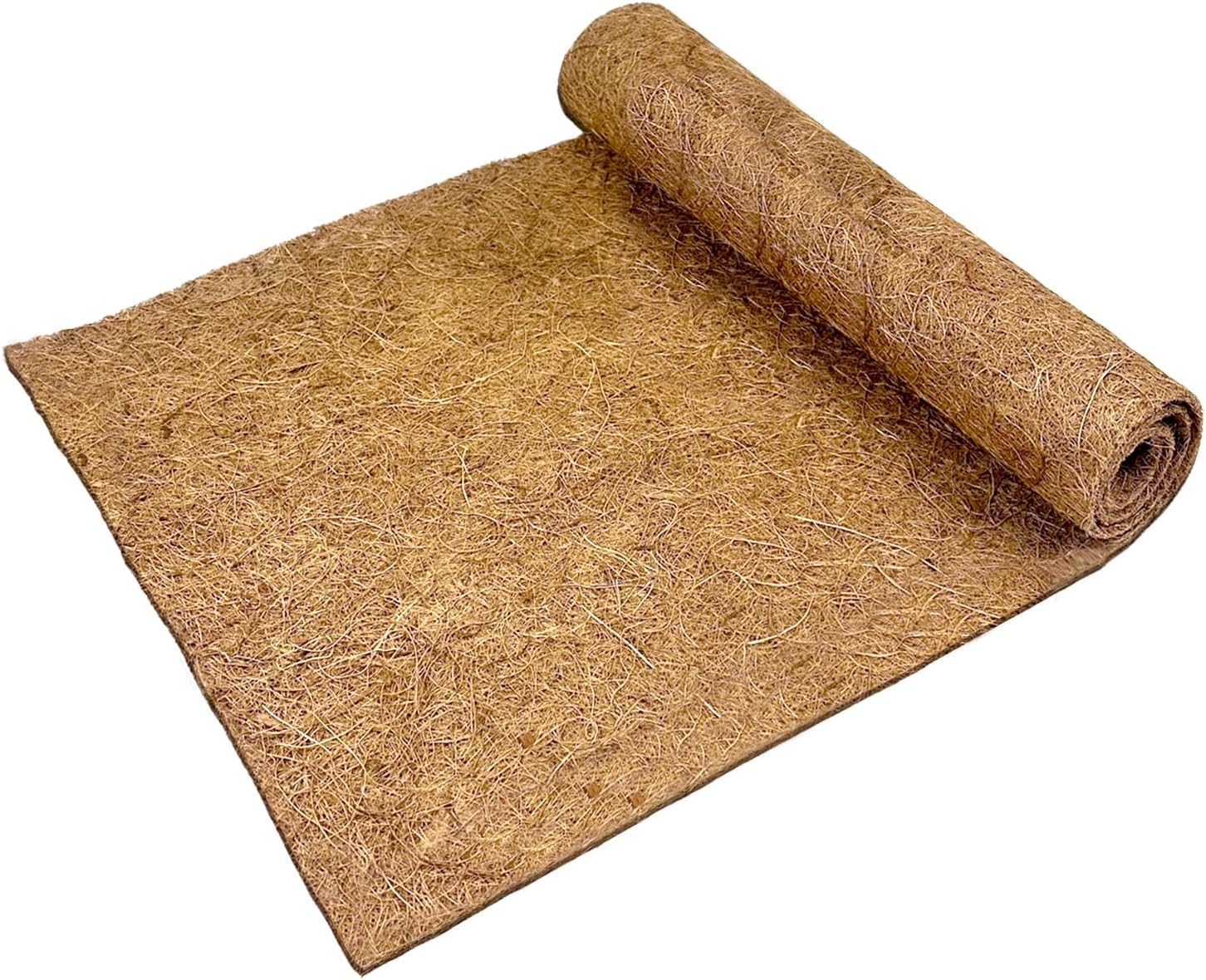 Amazon.com: Lemax Moss Display Mat #14861 : Home & Kitchen