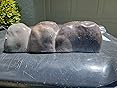 Amazon.com : Landecor Decorative Landscape Garden & Lawn Edgestone ...