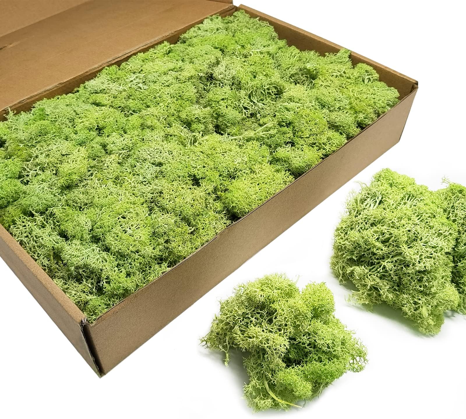 Amazon.com: TurelinnG Preserved Moss 3 OZ Reindeer Craft Moss, Fake ...